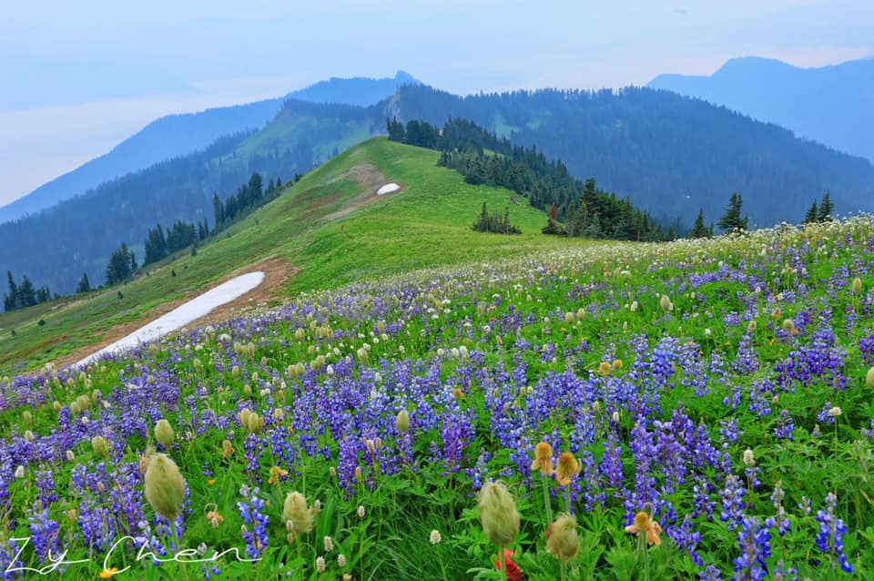 Tatoosh Ridge, Tatoosh Lookout, Tatoosh Lakes — Washington Trails ...