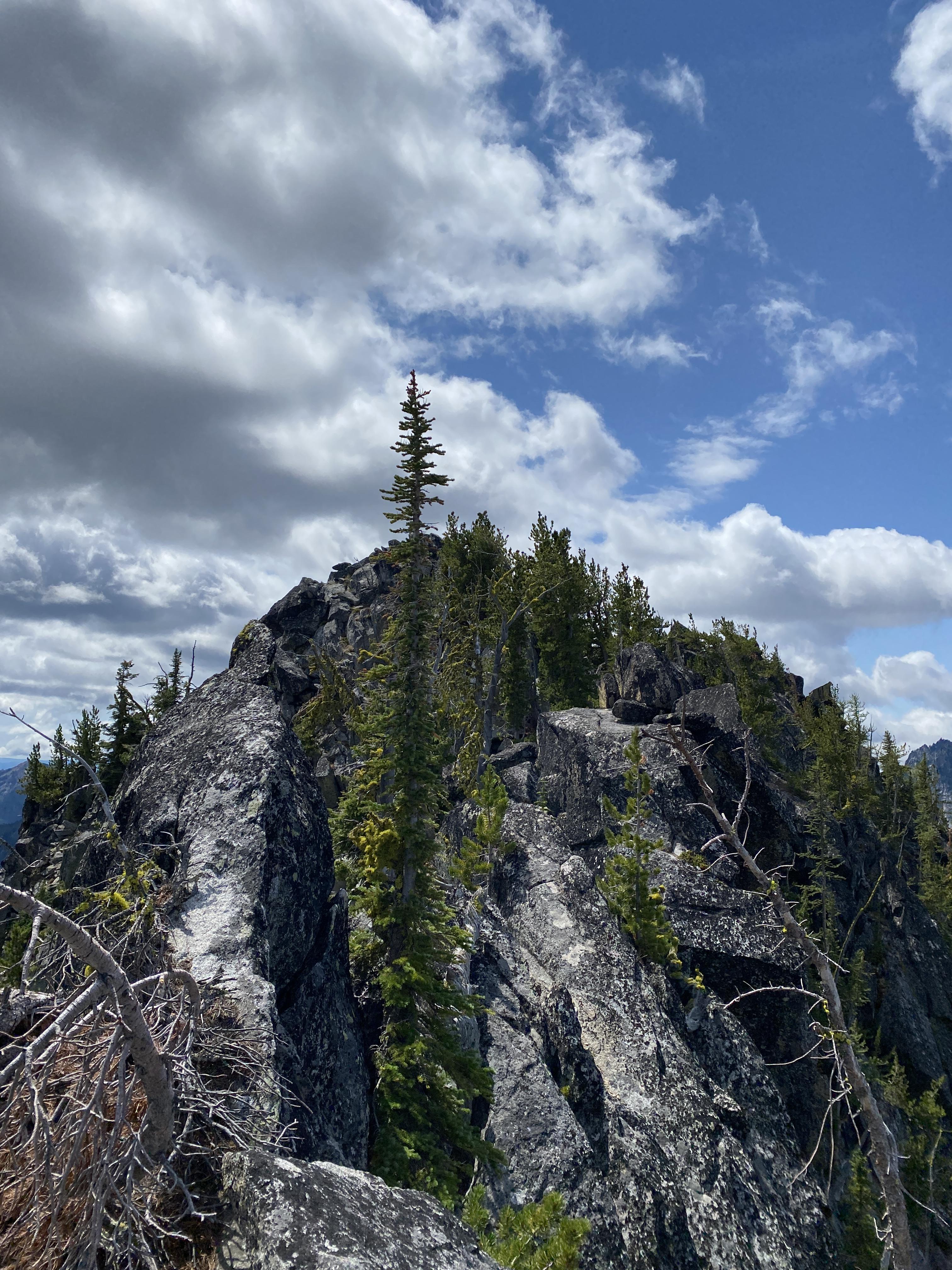 Wedge Mountain — Washington Trails Association