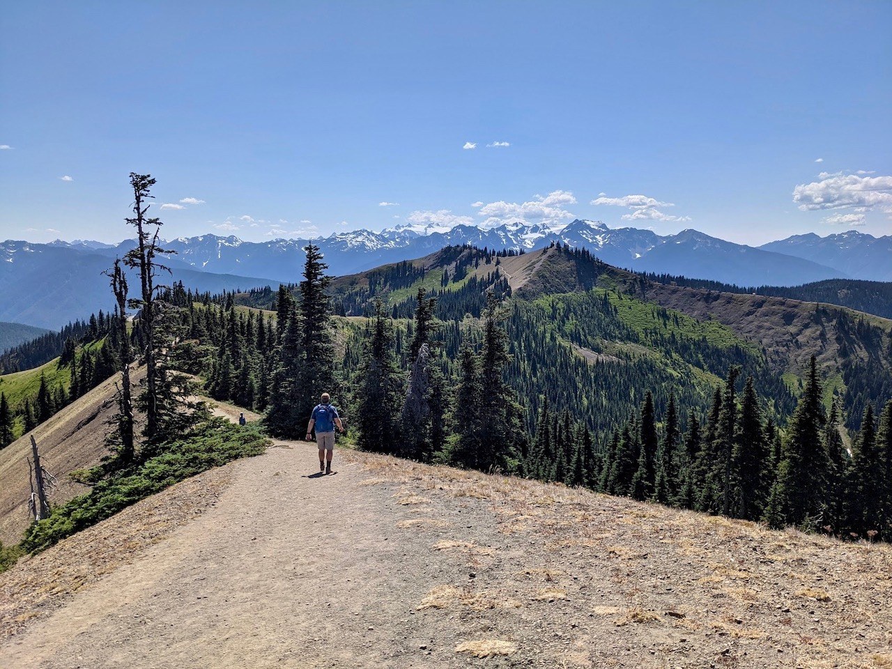 Sunrise Point Trail, High Ridge Trail — Washington Trails Association