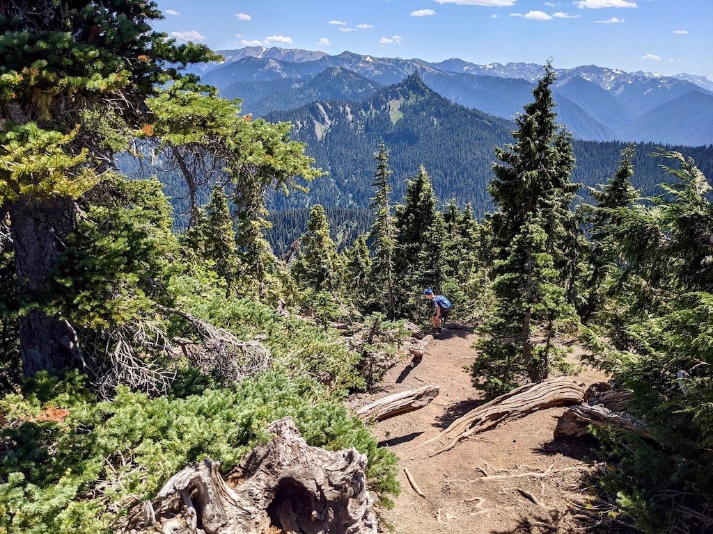 Sunrise Point Trail, High Ridge Trail — Washington Trails Association