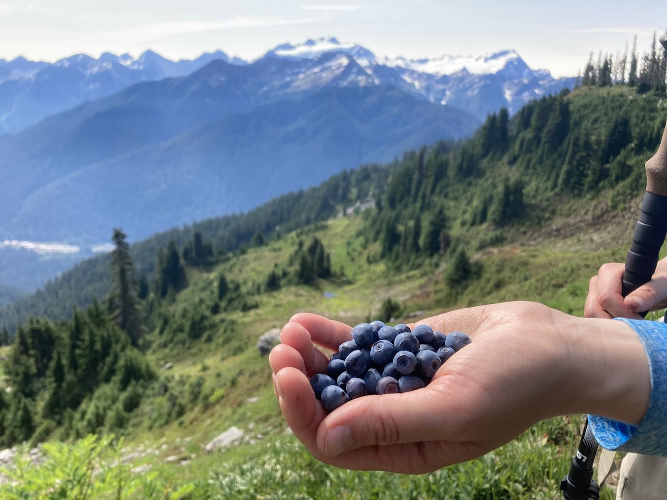 High Divide - Seven Lakes Basin Loop — Washington Trails Association