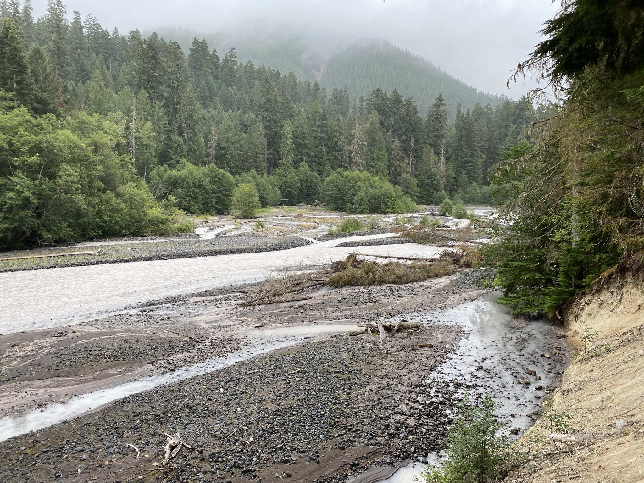 Skookum Flats — Washington Trails Association