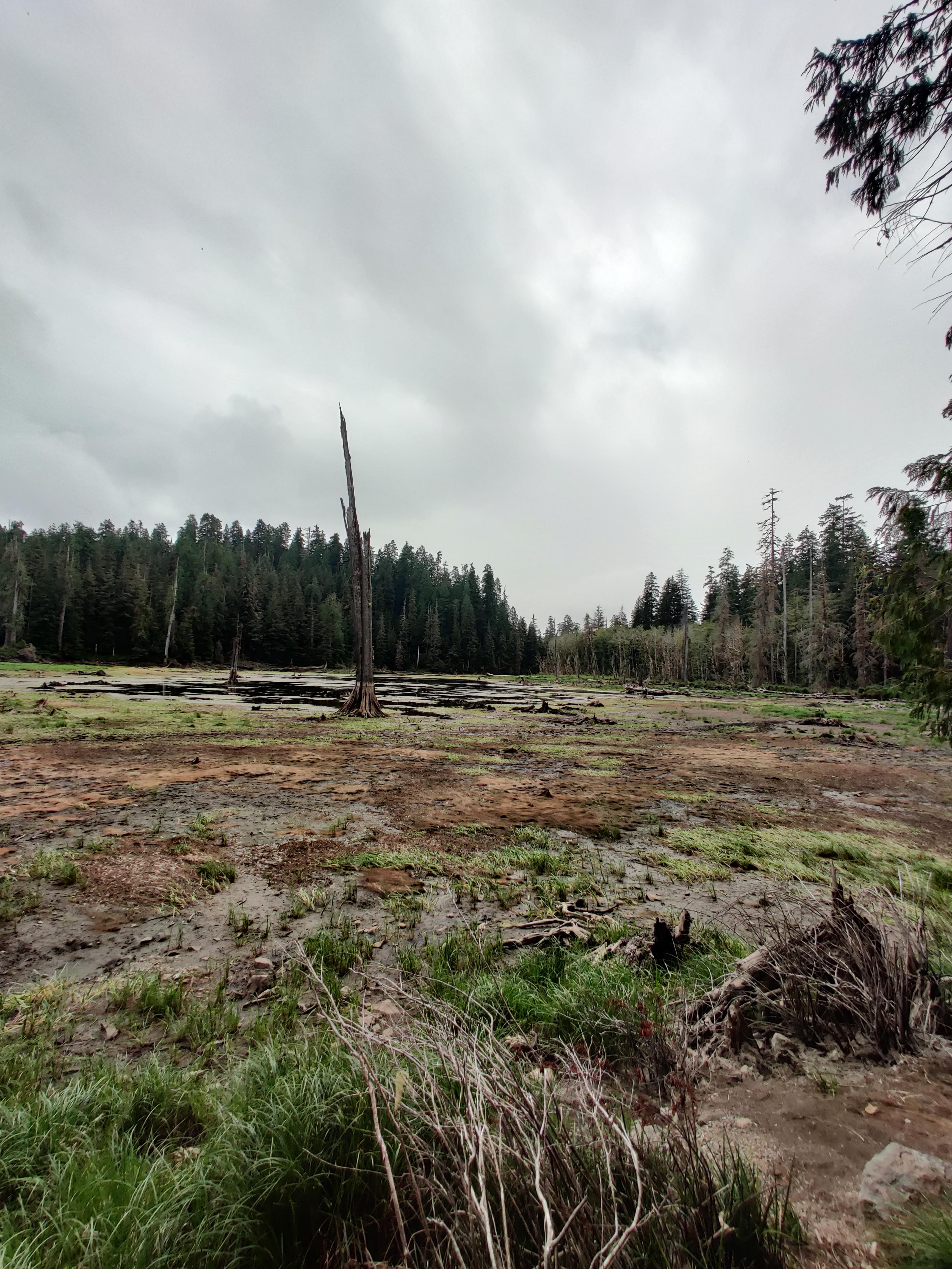 Irely Lake — Washington Trails Association