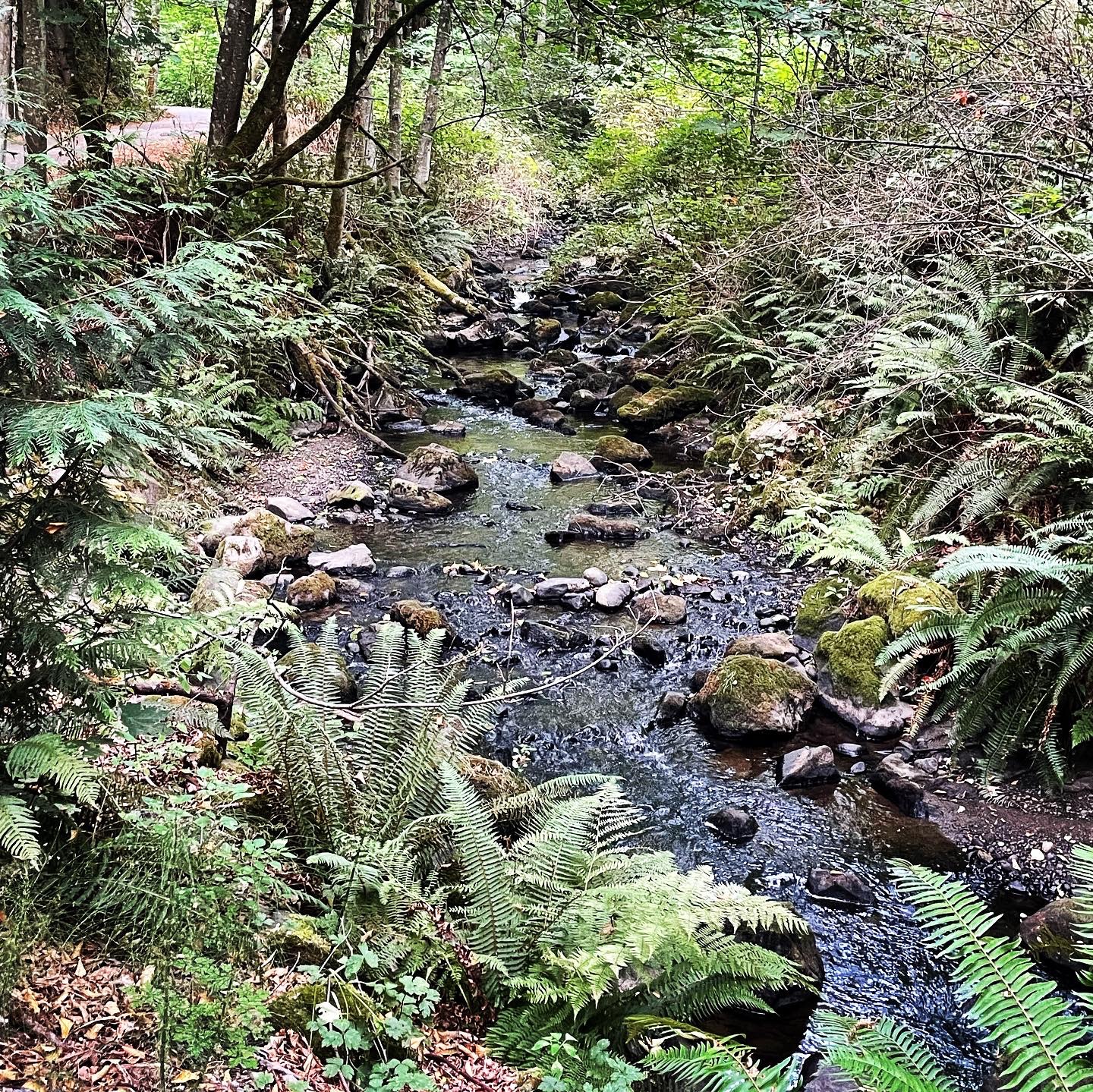 Des Moines Creek Trail — Washington Trails Association