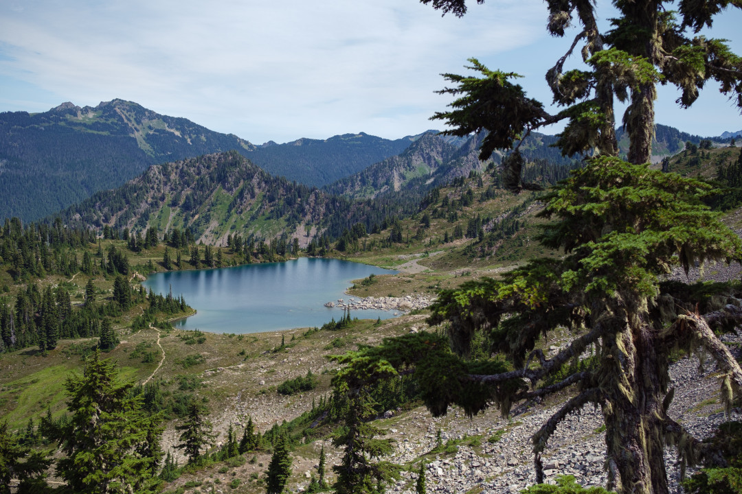 High Divide - Seven Lakes Basin Loop — Washington Trails Association