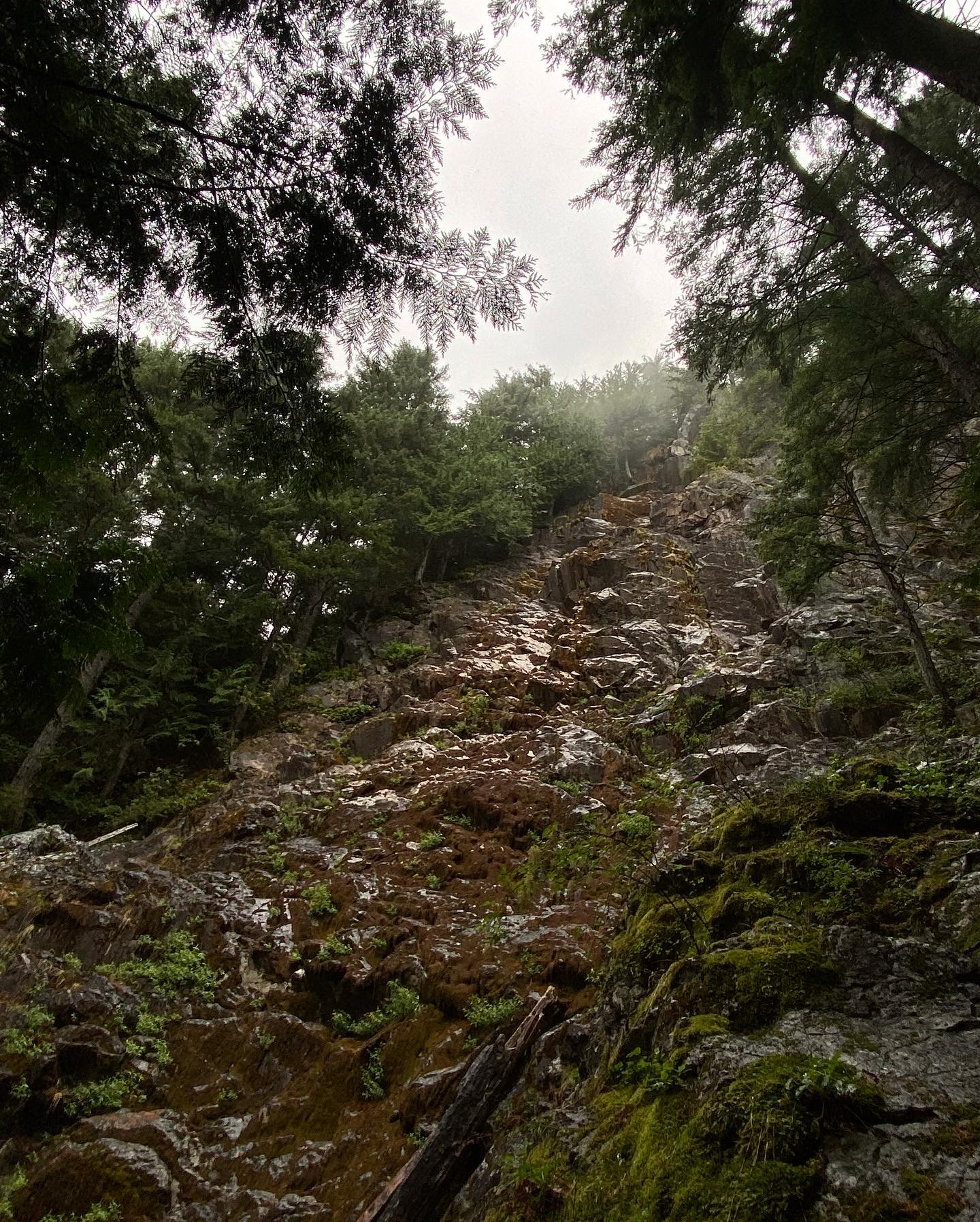 Mount Teneriffe, Teneriffe Falls — Washington Trails Association