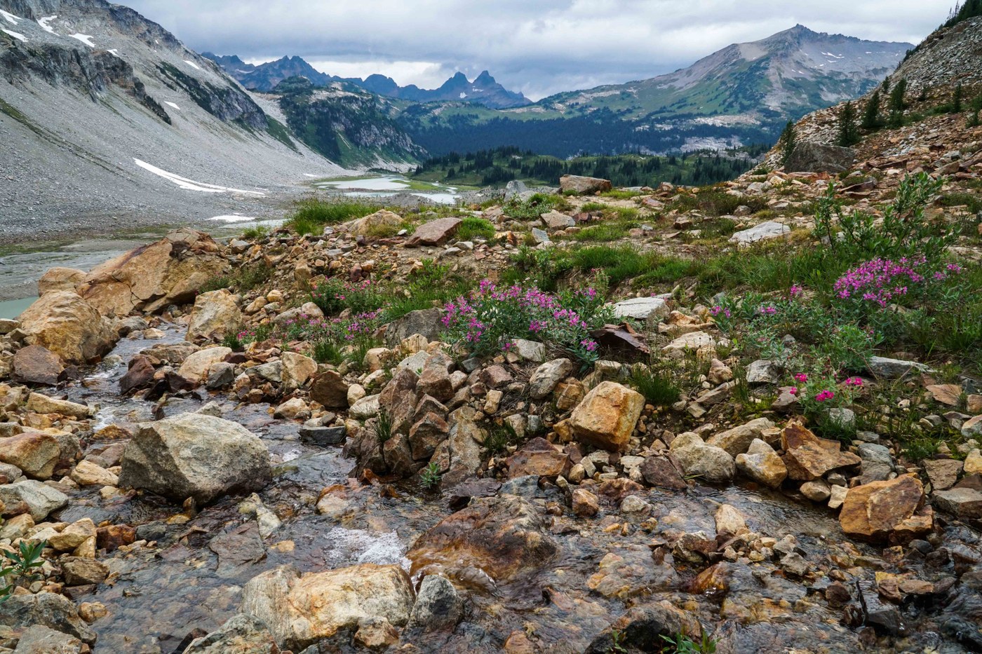 Spider Gap - Buck Creek Pass Loop — Washington Trails Association
