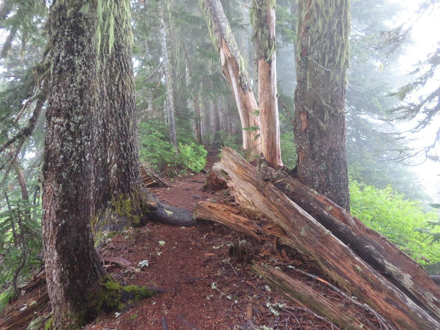 Scorpion Mountain via Johnson Ridge — Washington Trails Association