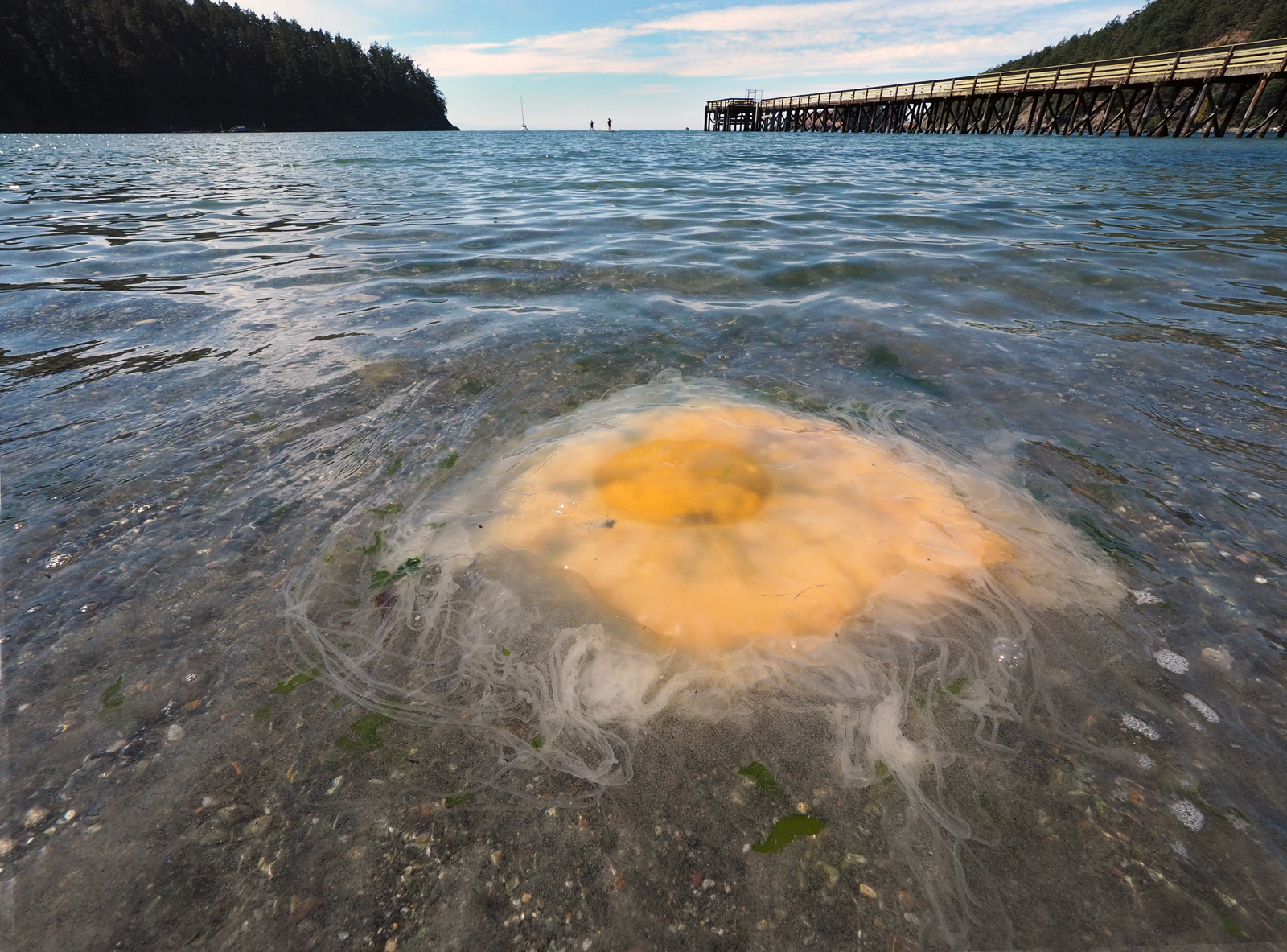 Deception Pass State Park - Headlands / Rosario Head / Lighthouse Point ...