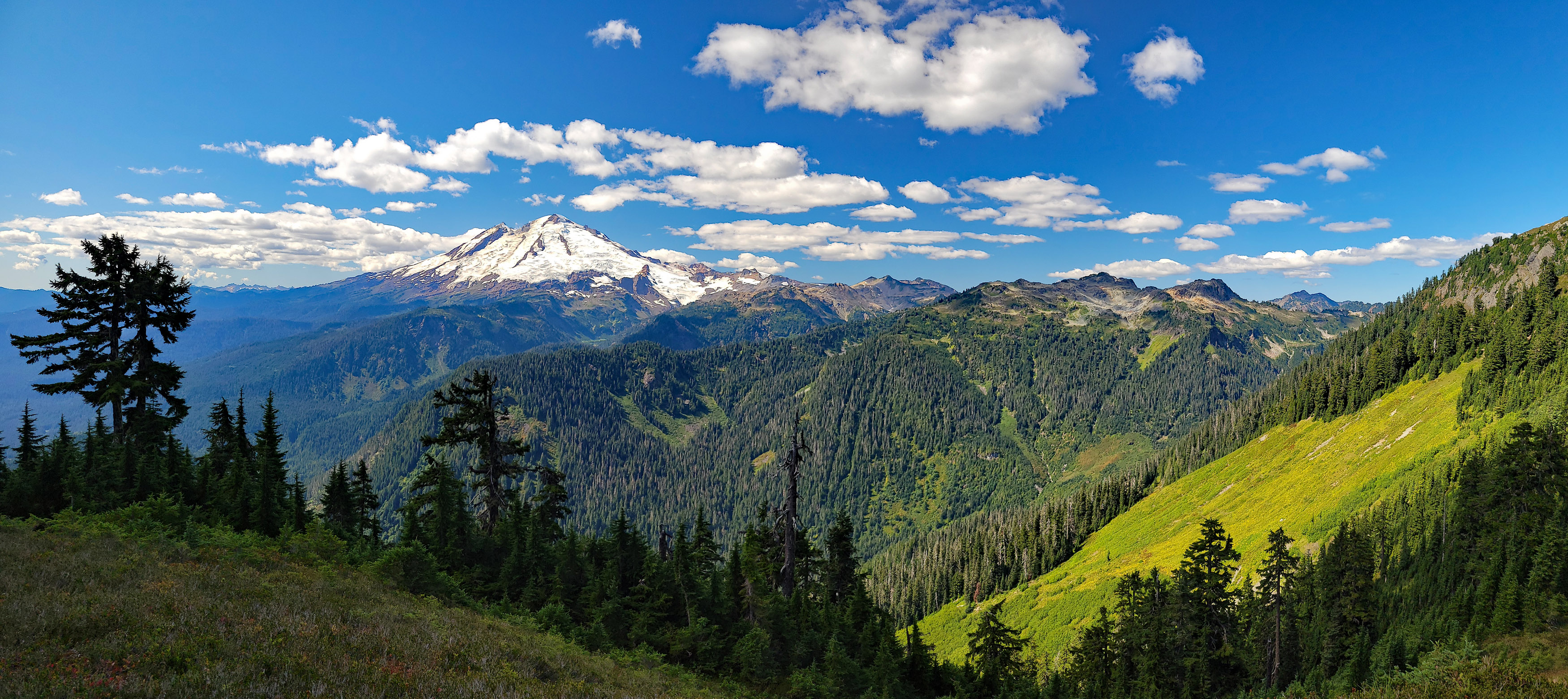 Shannon Ridge — Washington Trails Association