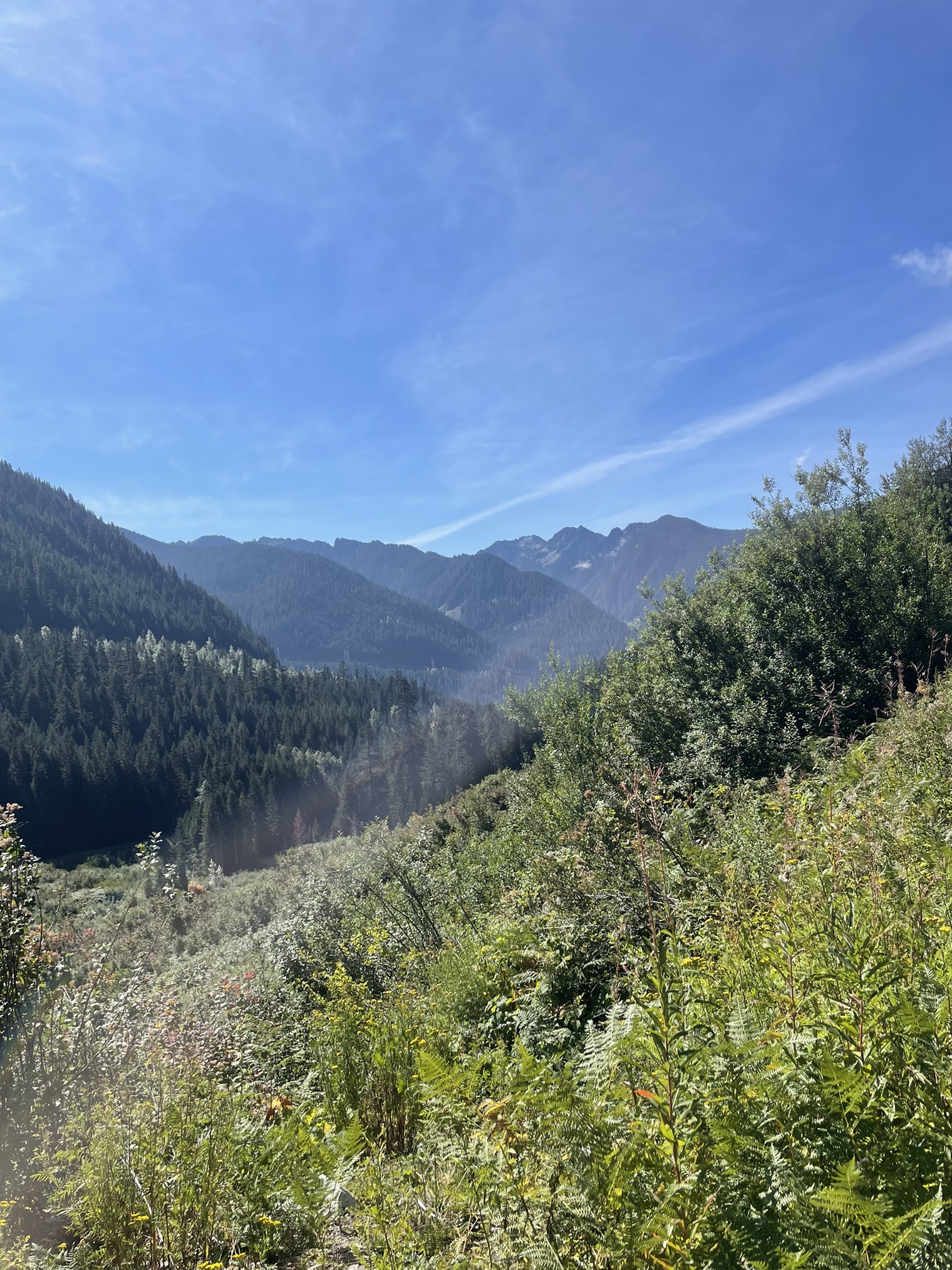 Wellington Ghost Town — Washington Trails Association