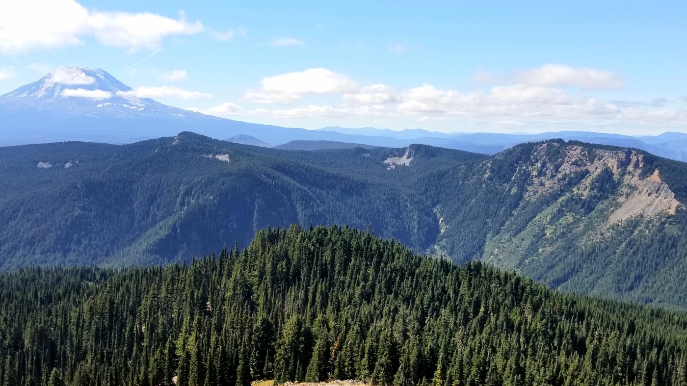 Cispus Pass, Nannie Ridge-Sheep Lake — Washington Trails Association