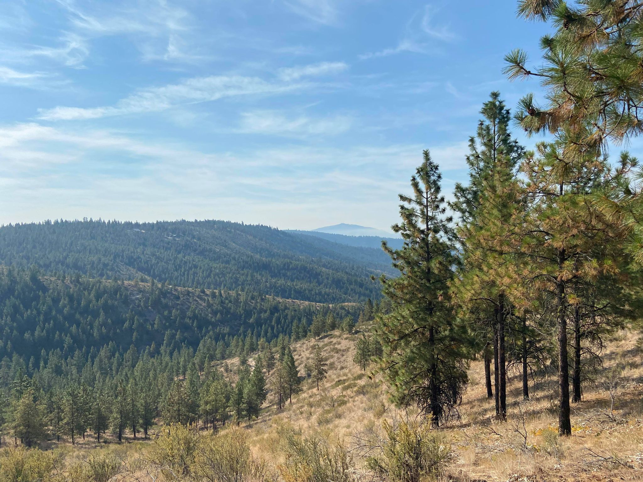 Echo Ridge — Washington Trails Association