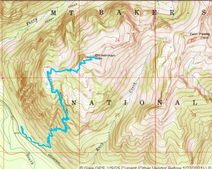 Mount Dickerman — Washington Trails Association