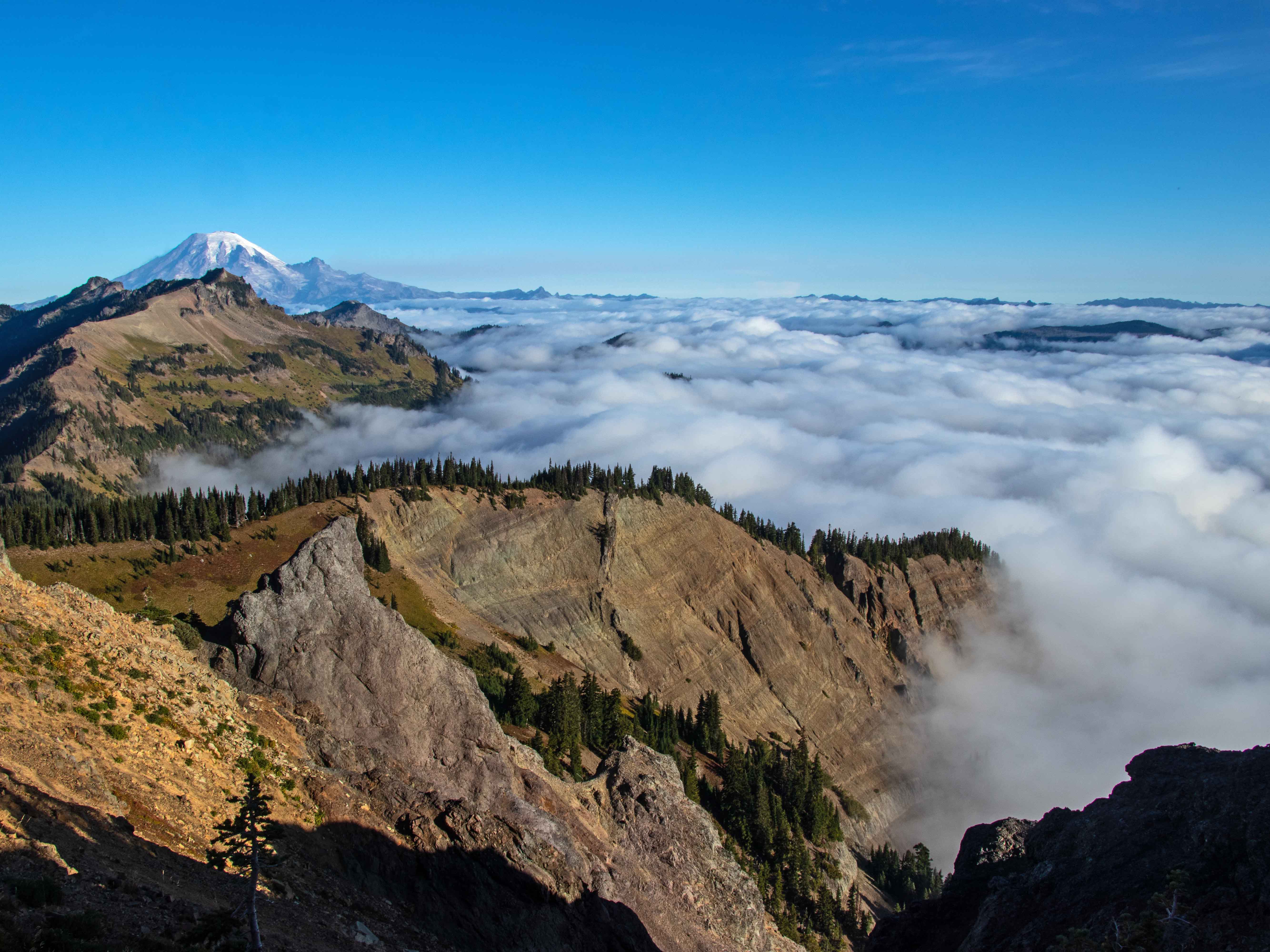 Snowgrass - Cispus Basin - Nannie Ridge Loop, Goat Lake — Washington ...