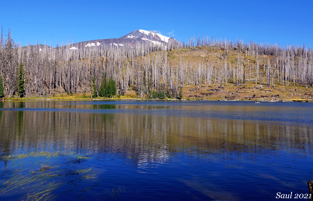 Bird Creek Meadows, Round The Mountain — Washington Trails Association