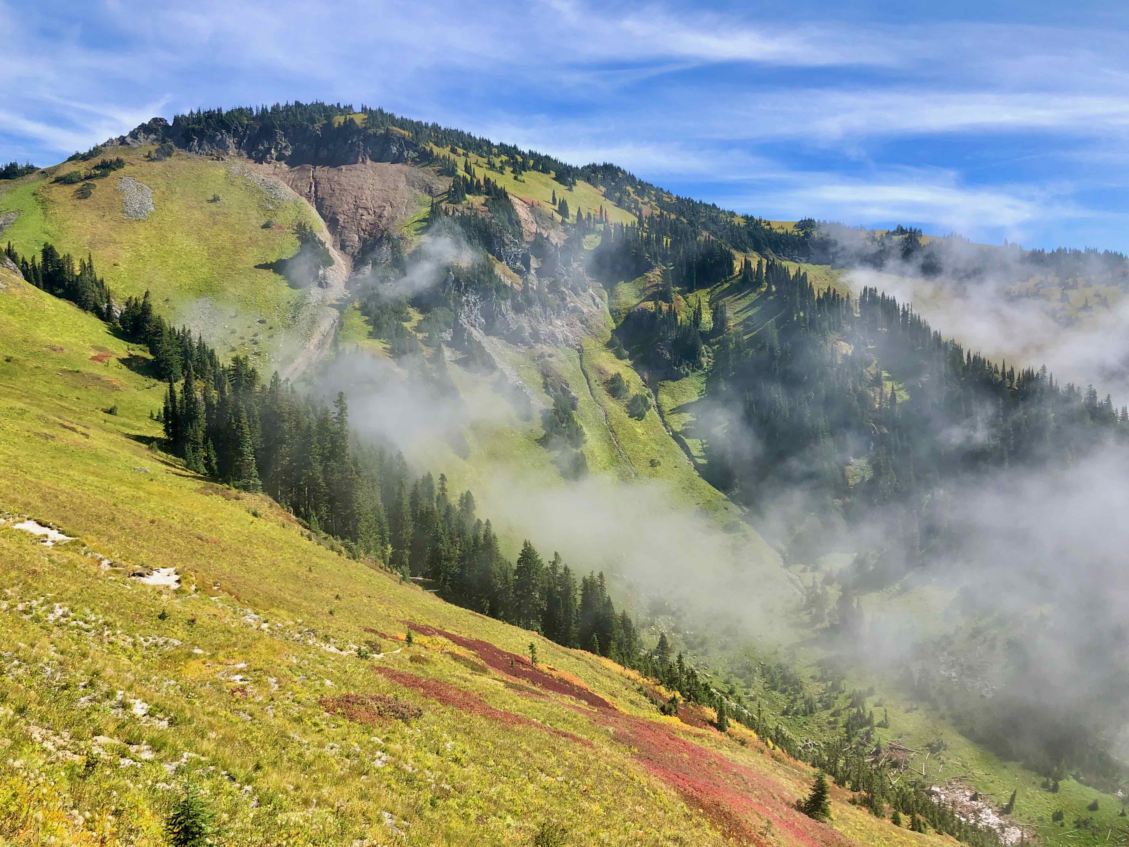 Tatoosh Lookout, Tatoosh Ridge — Washington Trails Association