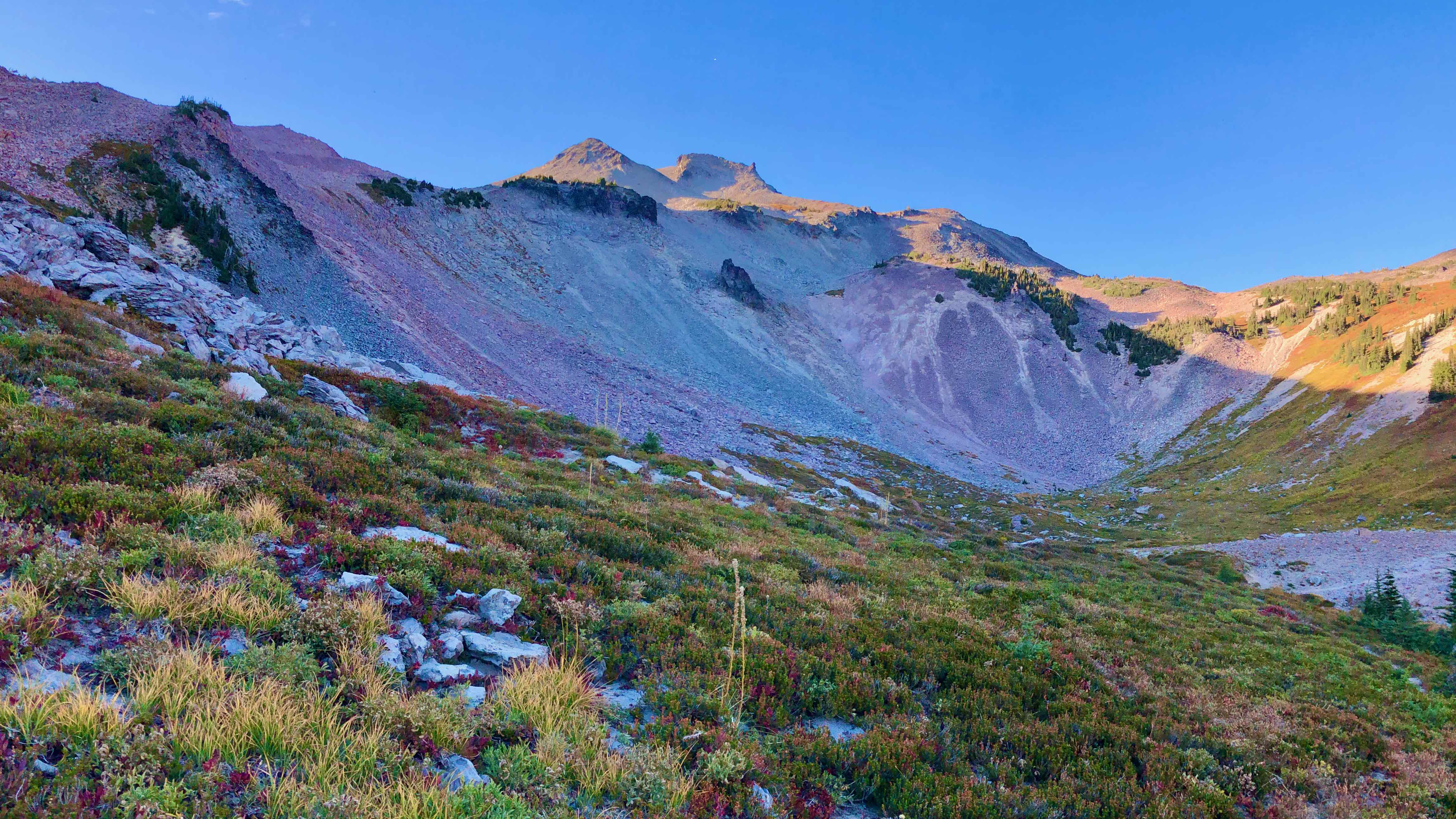 Snowgrass Flat, Goat Lake, Cispus Pass — Washington Trails Association
