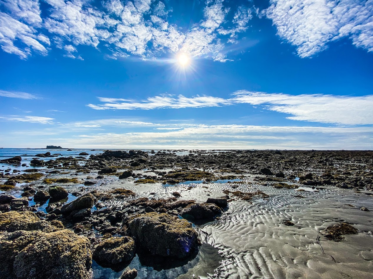 Sand Point — Washington Trails Association