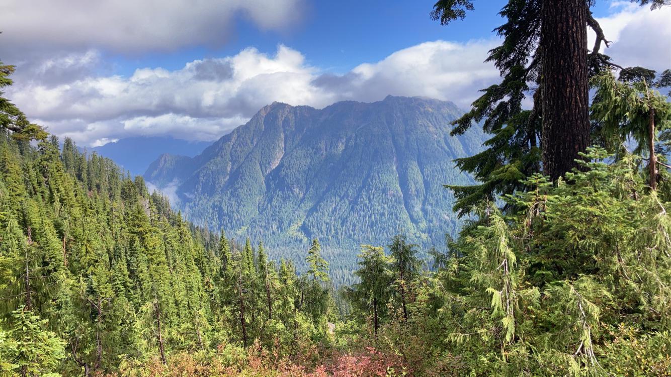 Gothic Basin — Washington Trails Association