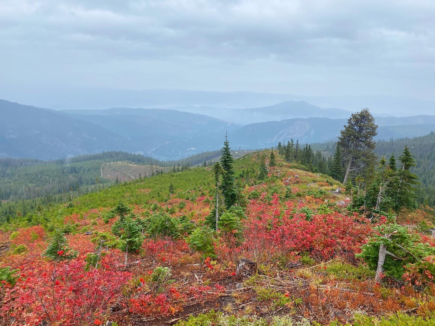 Lake Ethel — Washington Trails Association