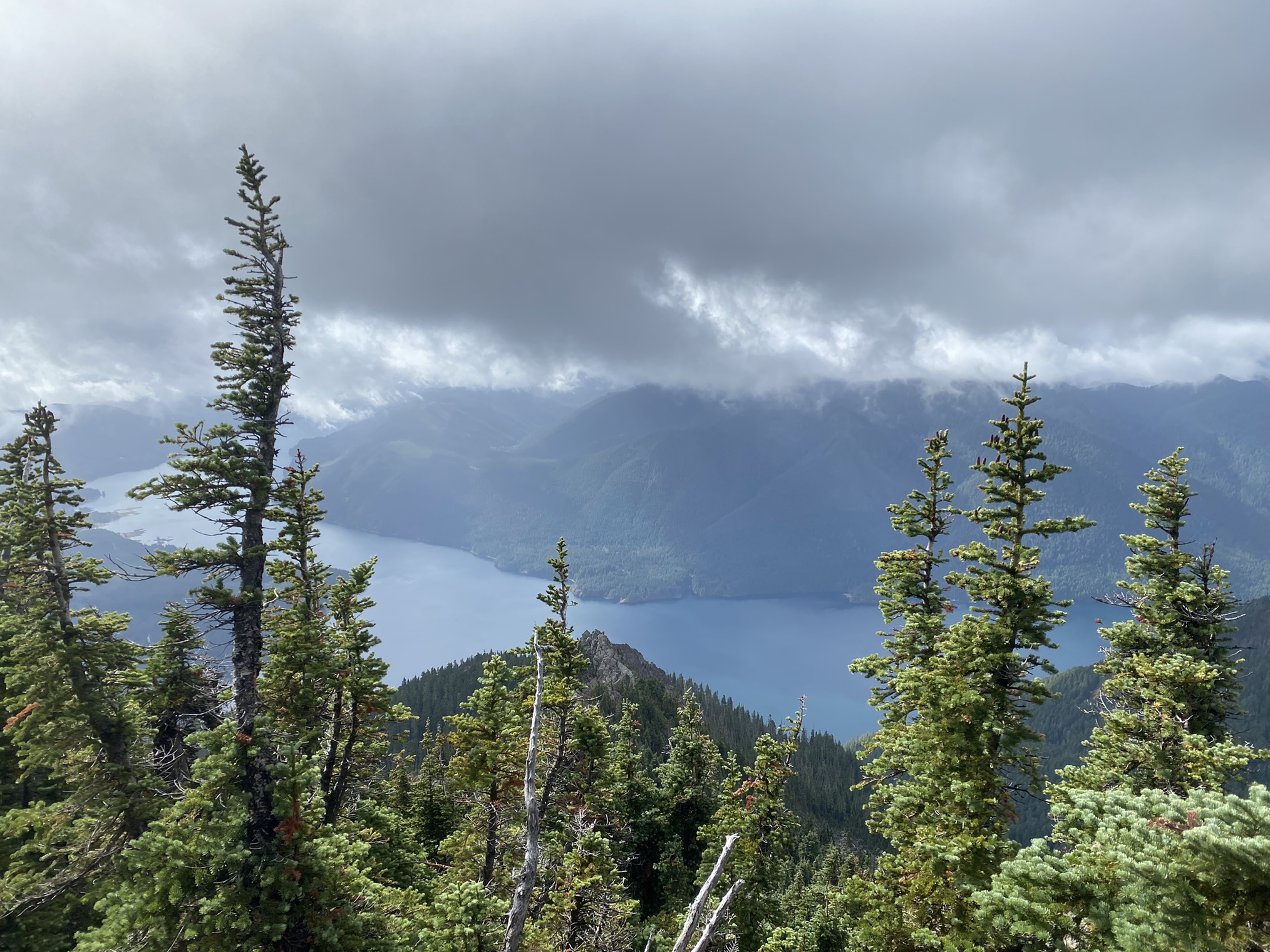 Mount Ellinor — Washington Trails Association