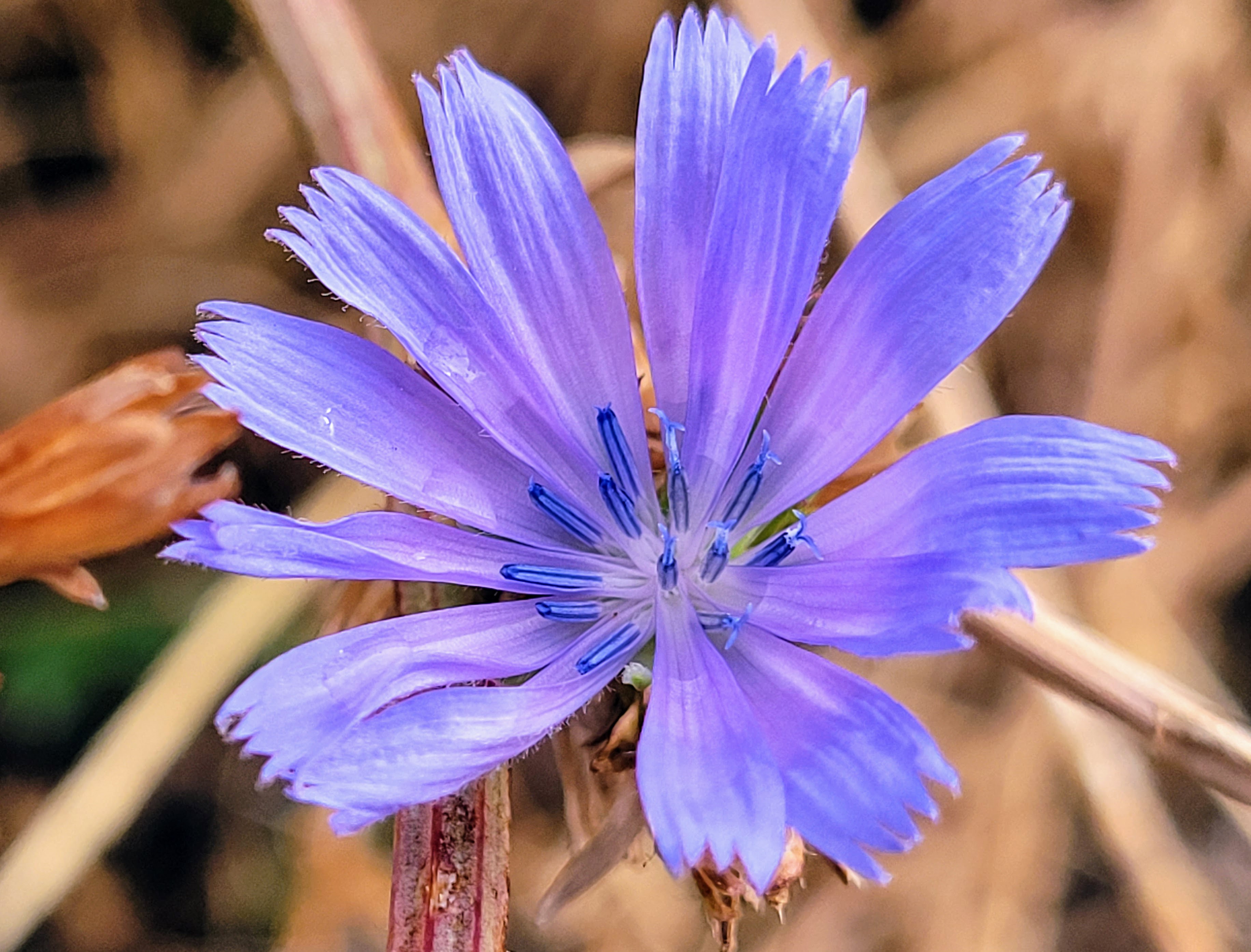 Umtanum Creek Canyon, Umtanum Ridge Crest — Washington Trails Association