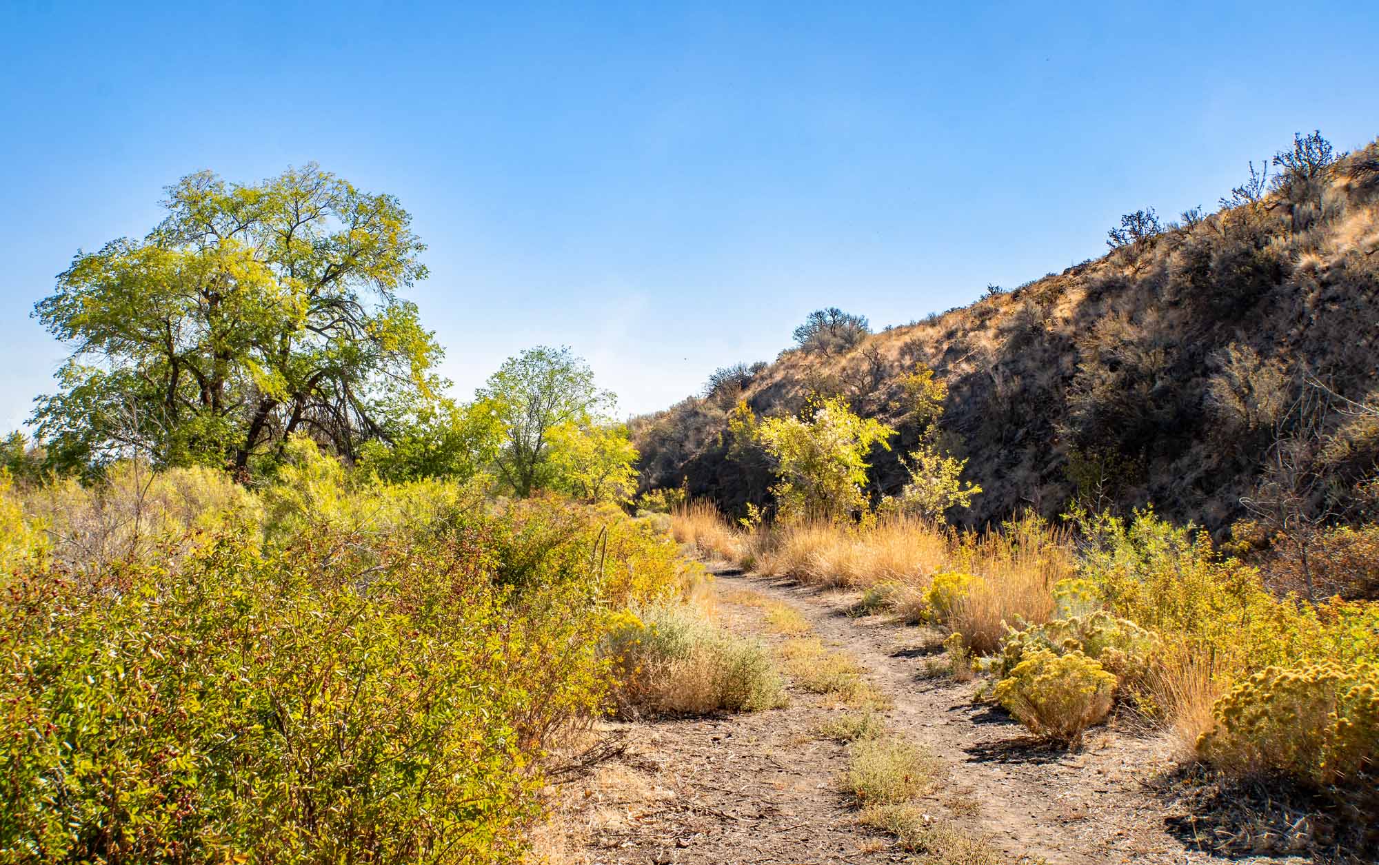 Snow Mountain Ranch and Cowiche Mountain — Washington Trails Association