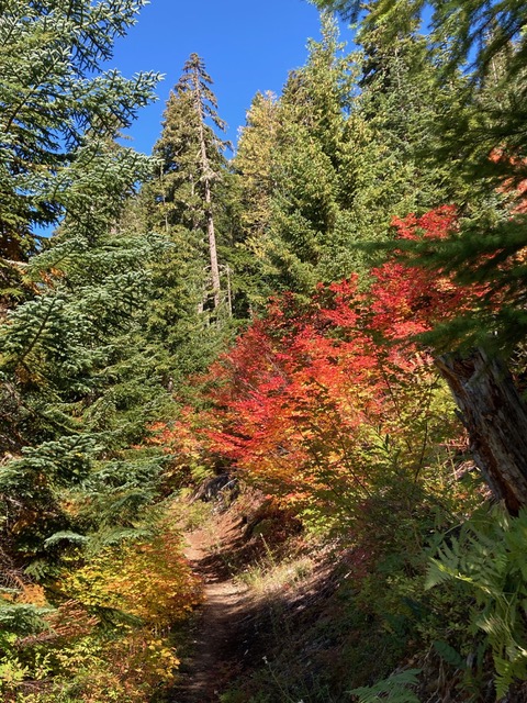 Beckler Peak — Washington Trails Association