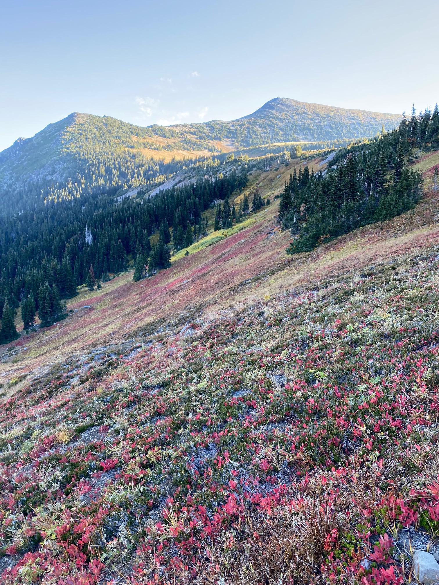 Berkeley Park, Grand Park via Sunrise — Washington Trails Association