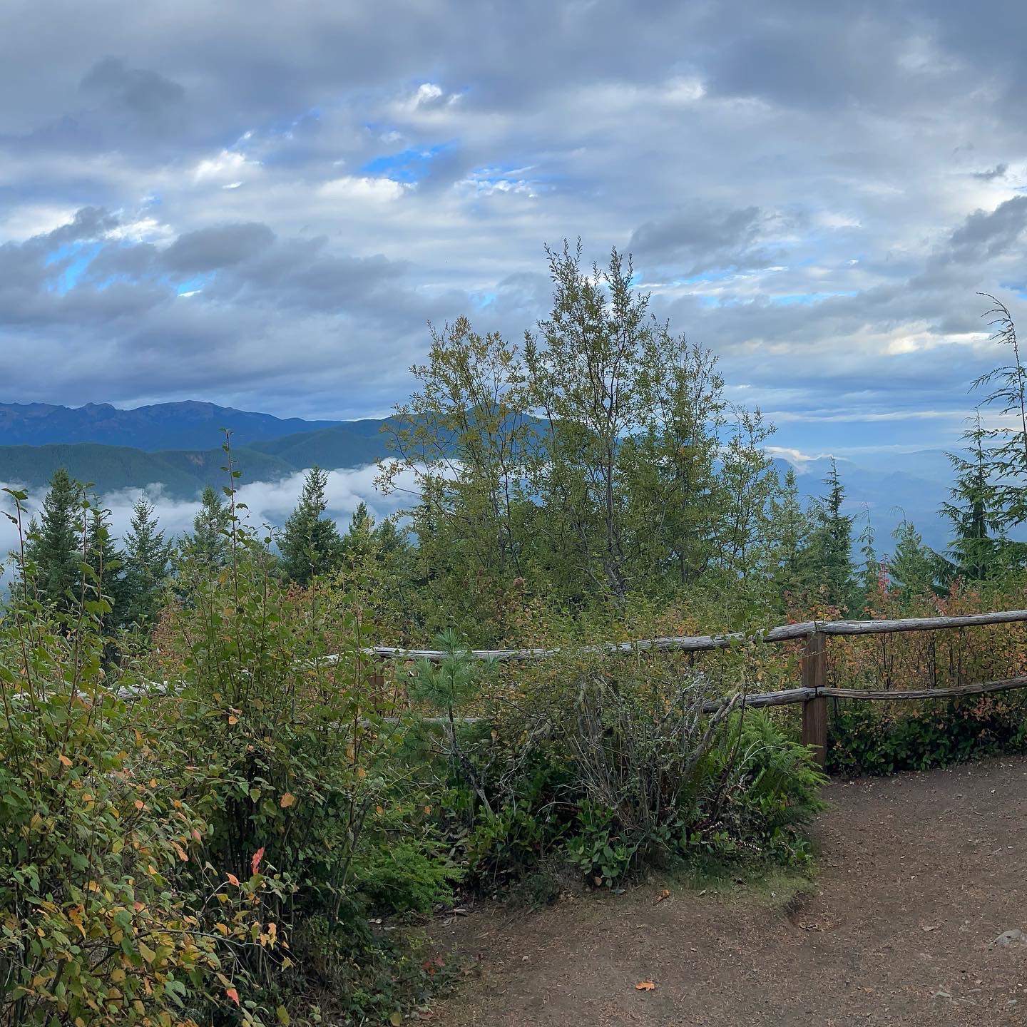 Mount Walker — Washington Trails Association