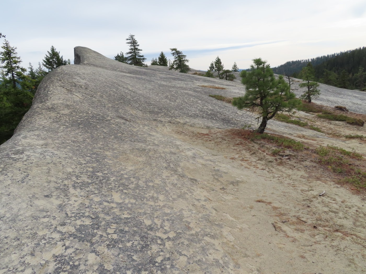 Teanaway Community Forest - Bible Rock — Washington Trails Association