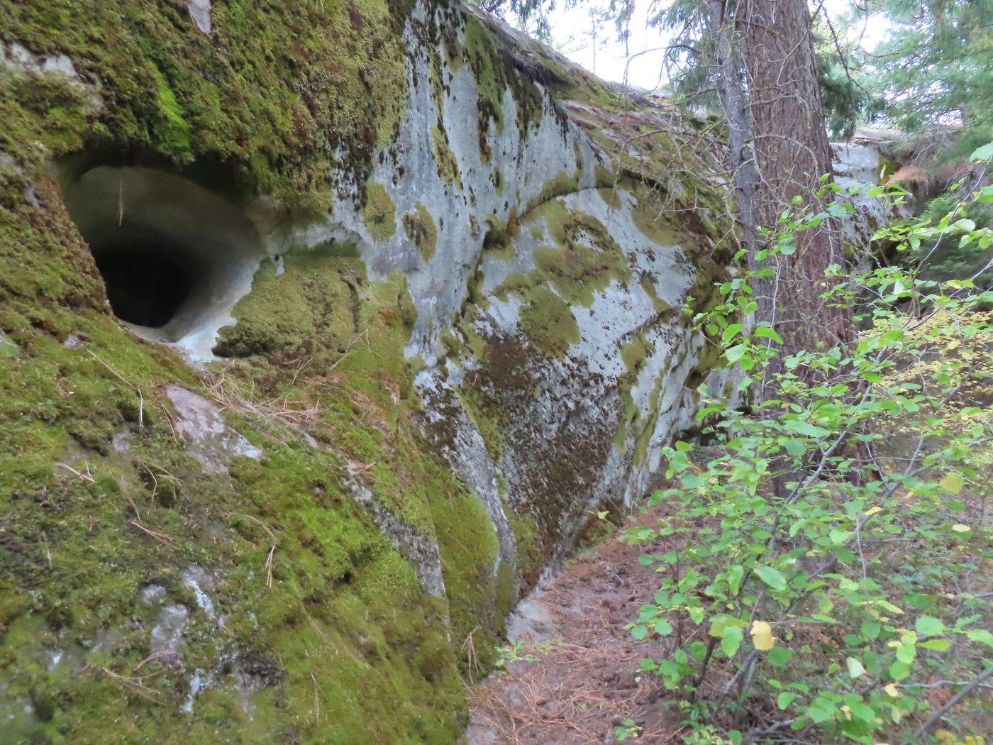Teanaway Community Forest - Bible Rock — Washington Trails Association