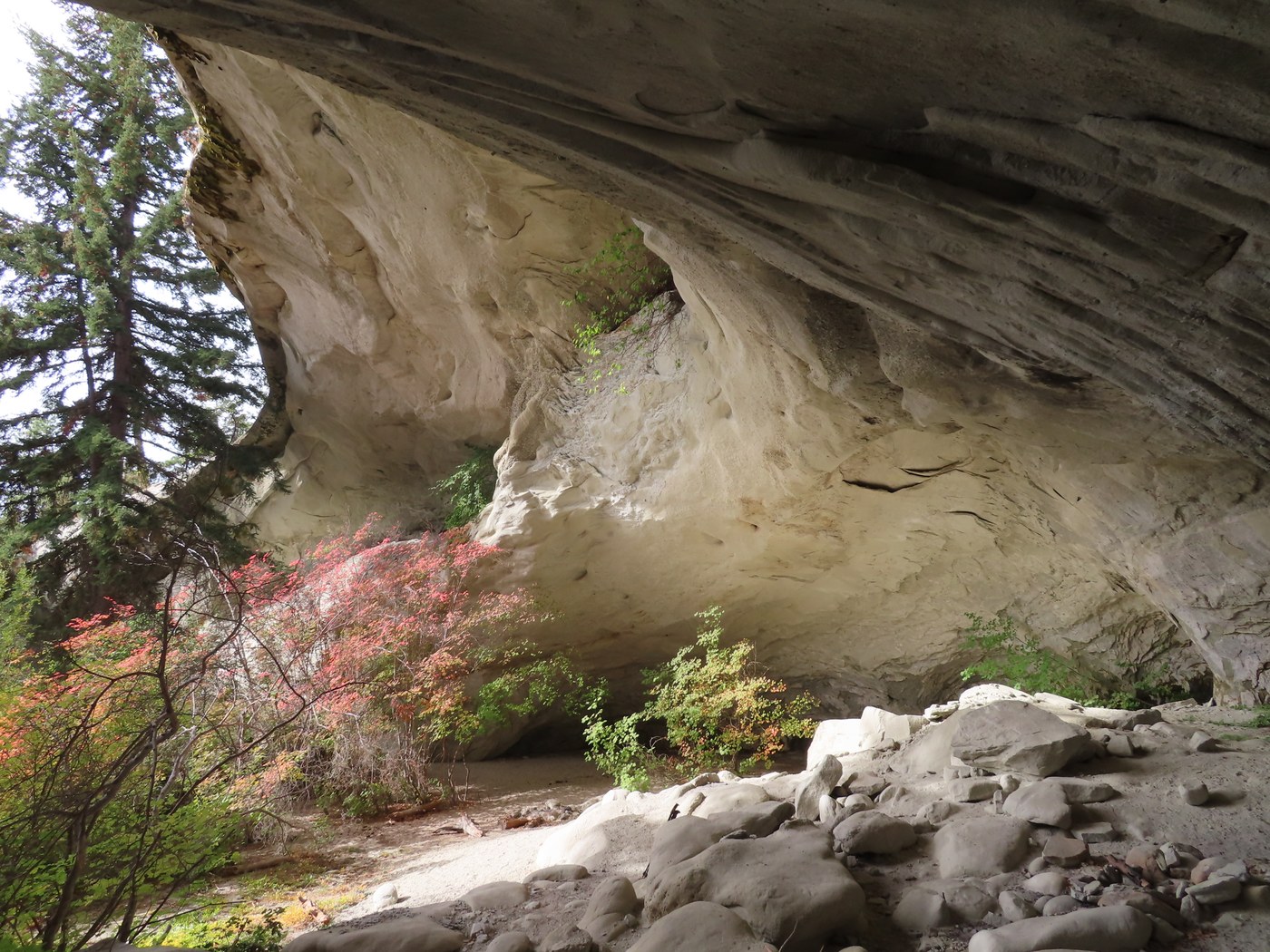 Teanaway Community Forest - Bible Rock — Washington Trails Association