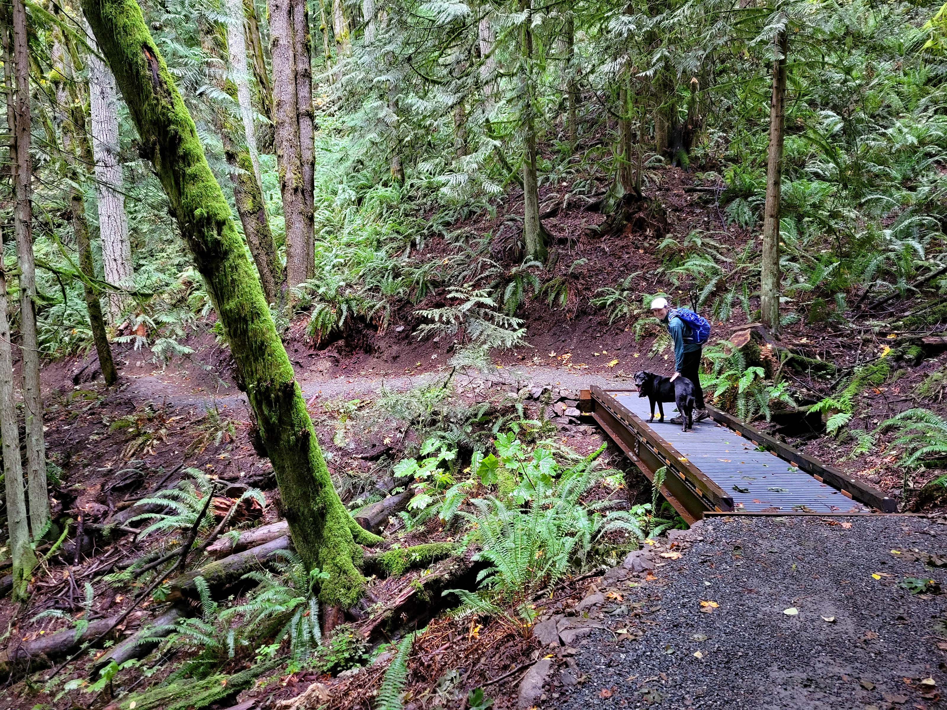 Poo Poo Point - Chirico Trail, Poo Poo Point — Washington Trails ...