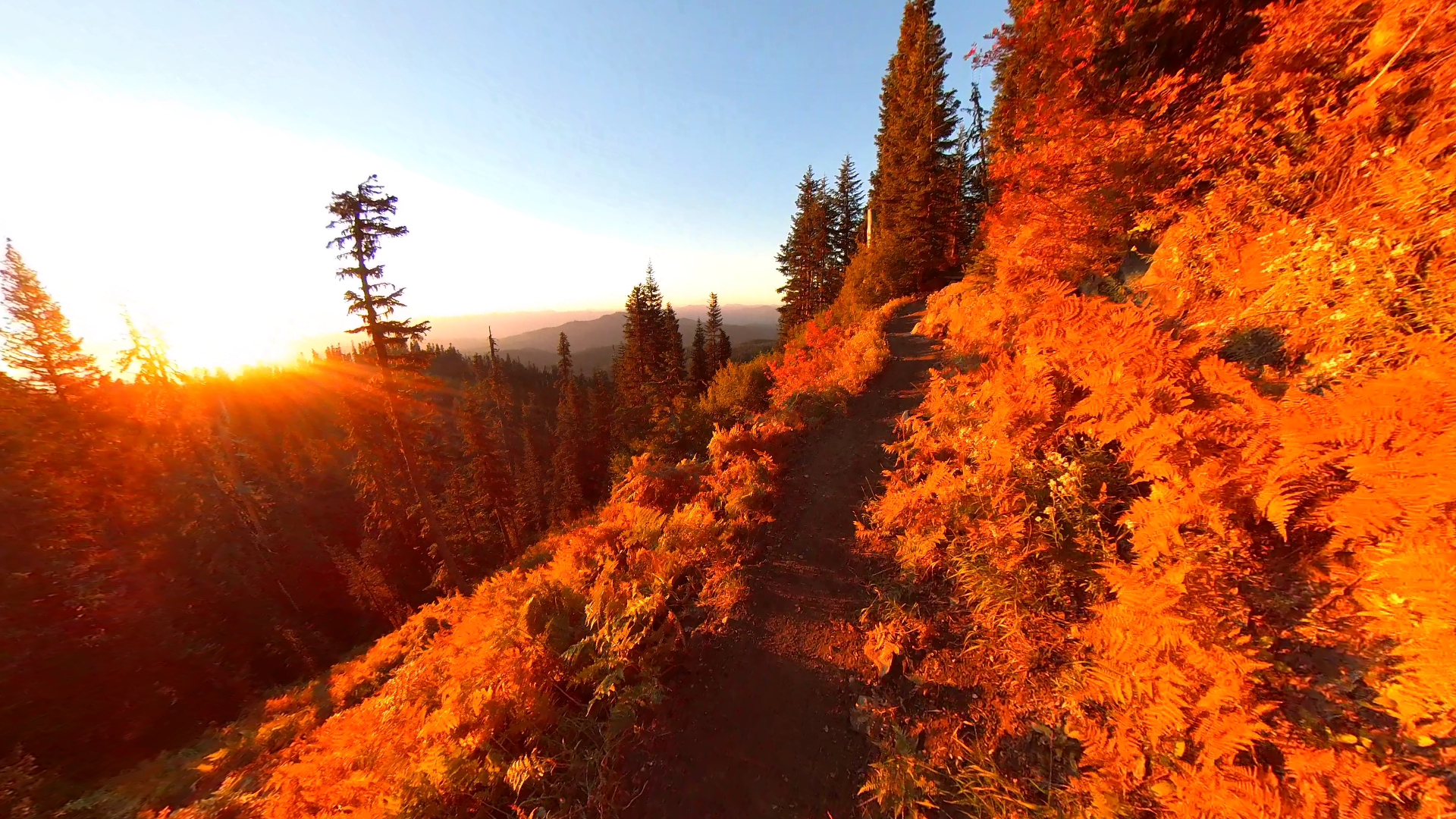 Mount St. Helens - Monitor Ridge — Washington Trails Association