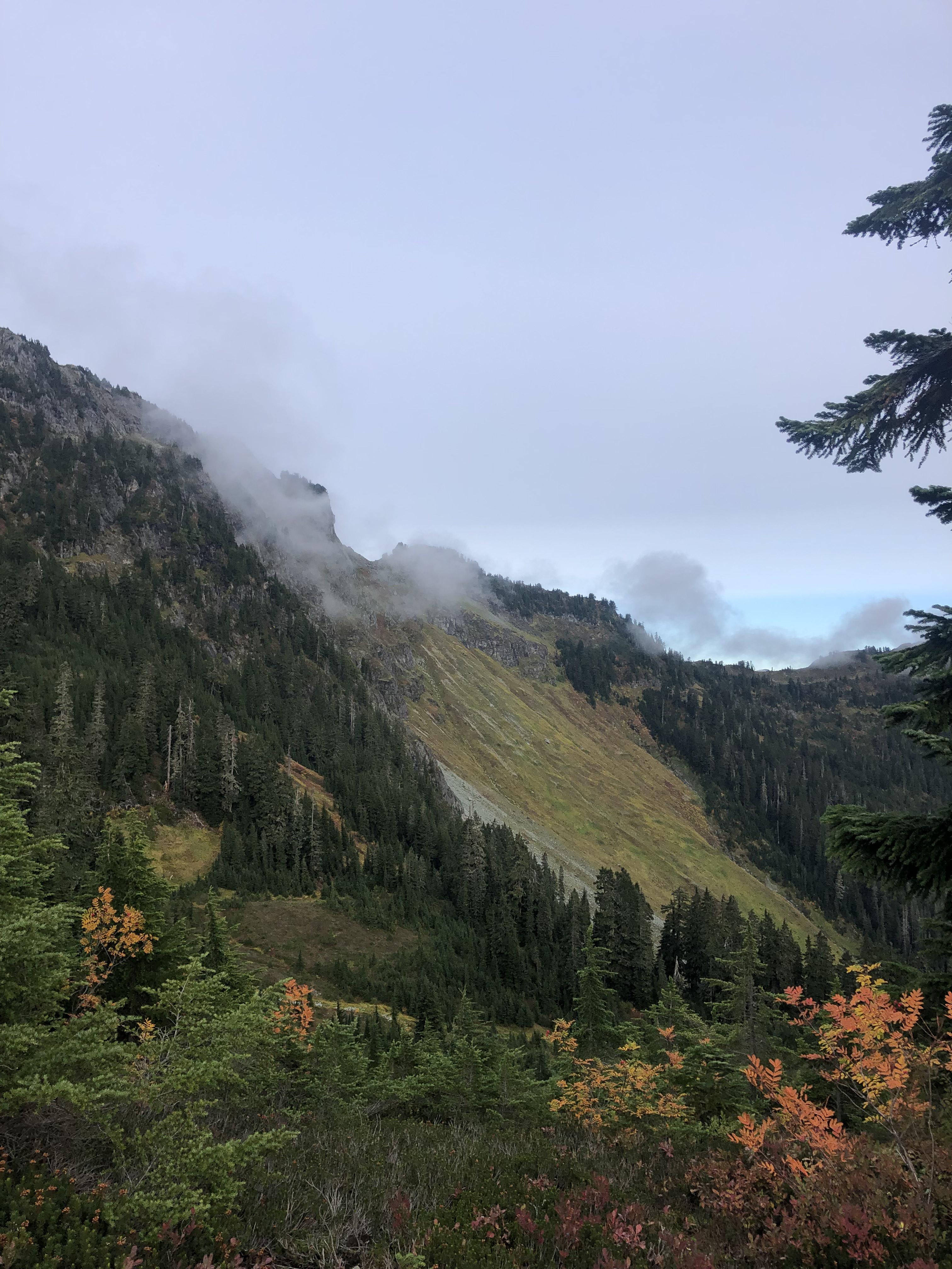 Shannon Ridge — Washington Trails Association