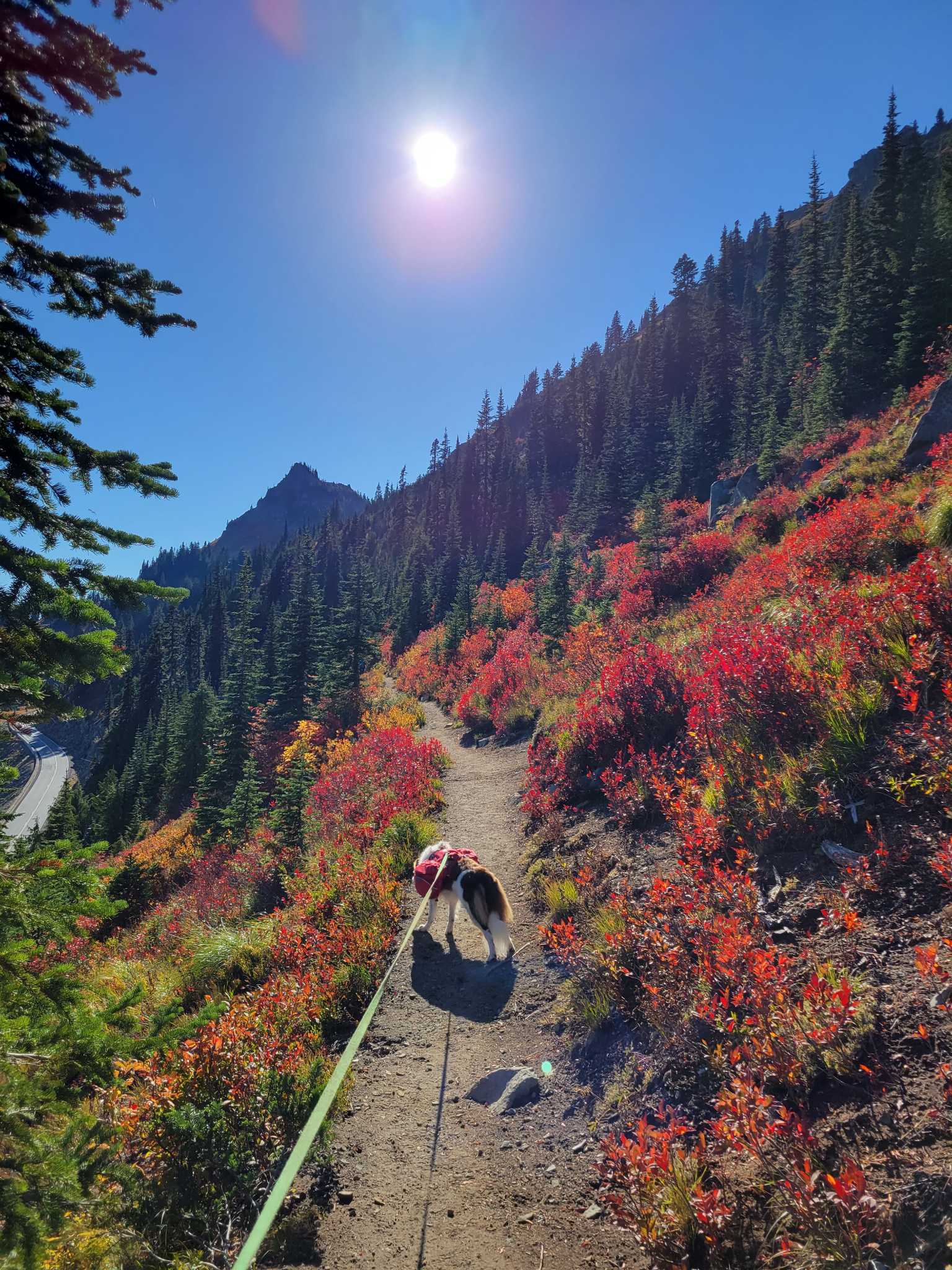 Sheep Lake — Washington Trails Association