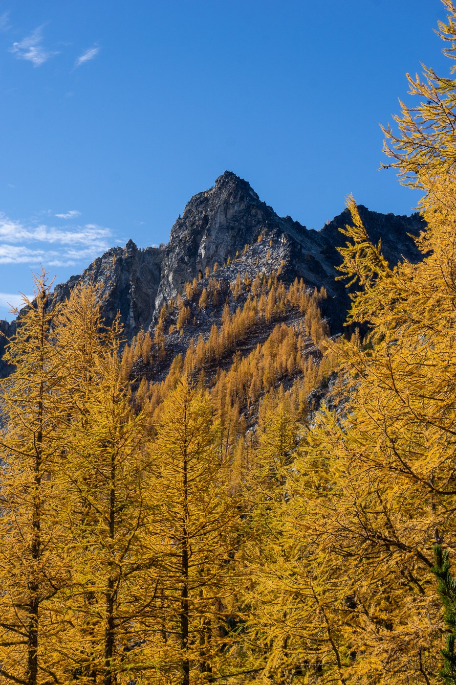 Eagle Lakes, Cooney Lake — Washington Trails Association