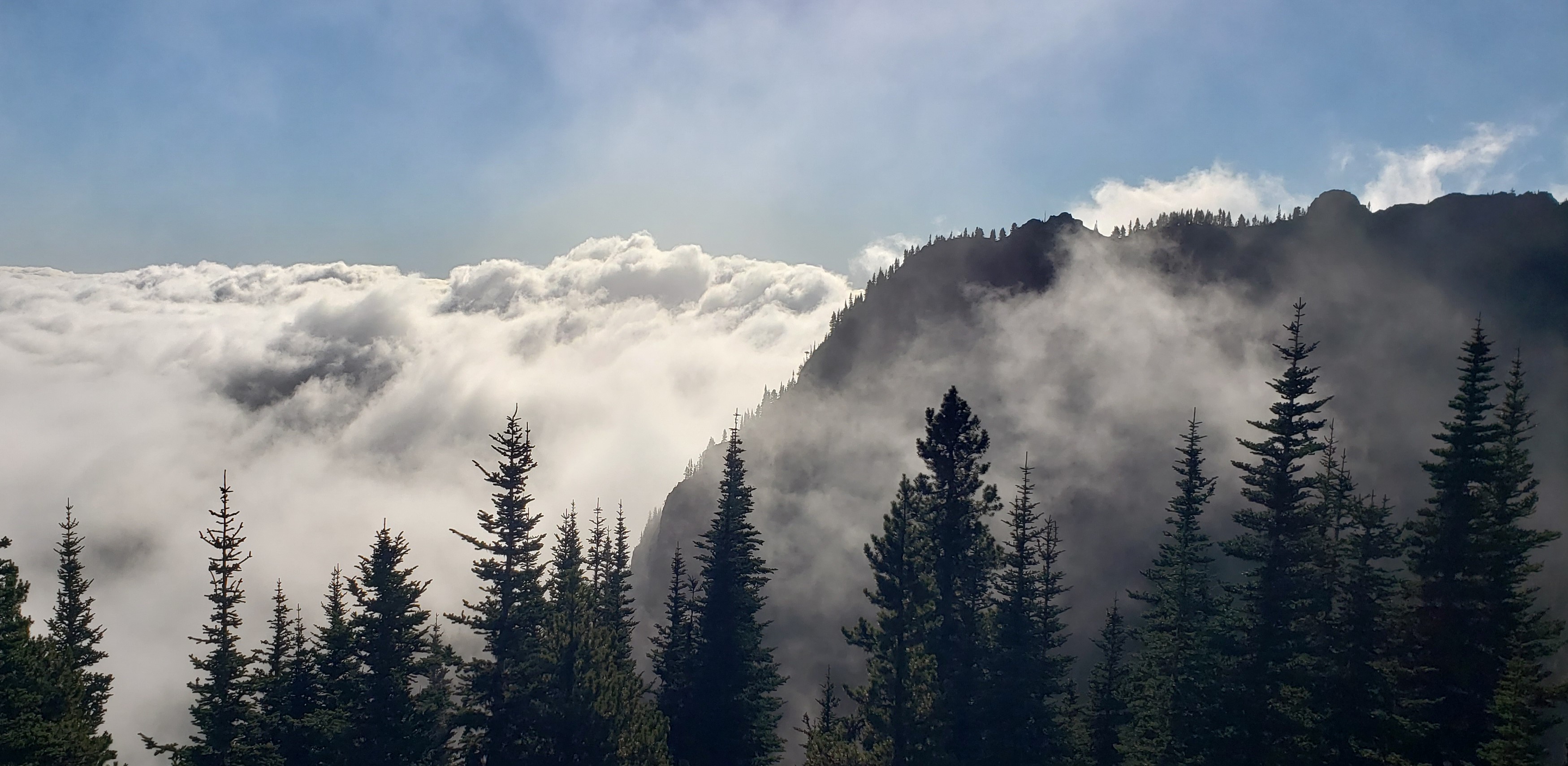 Mount Townsend — Washington Trails Association