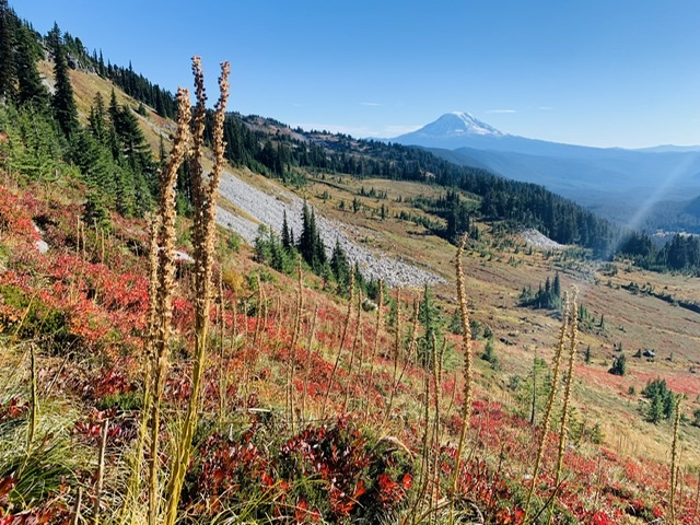 Goat Lake, Snowgrass Flat, Goat Ridge — Washington Trails Association