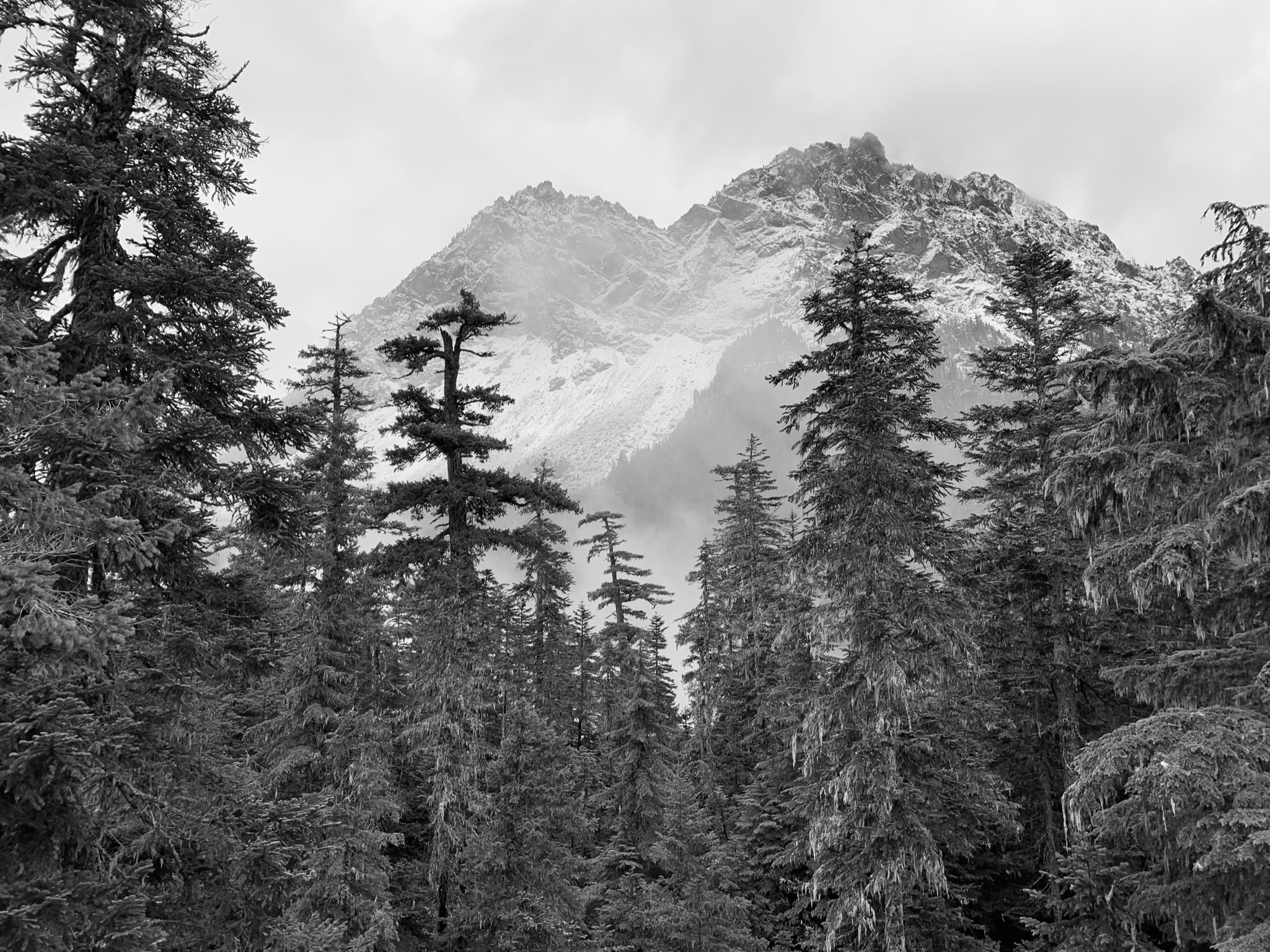 Mildred Lakes — Washington Trails Association