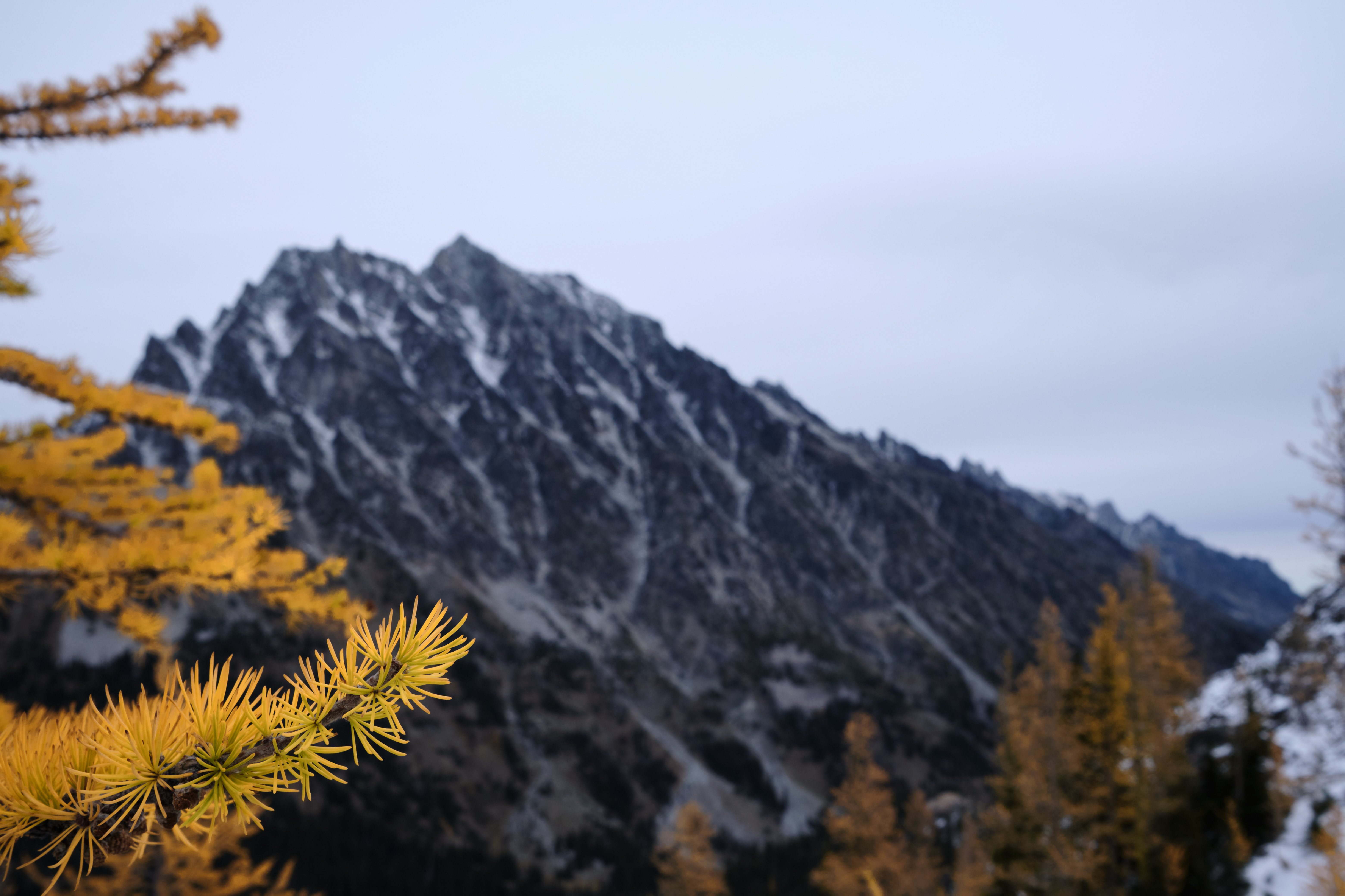 Lake Ingalls — Washington Trails Association