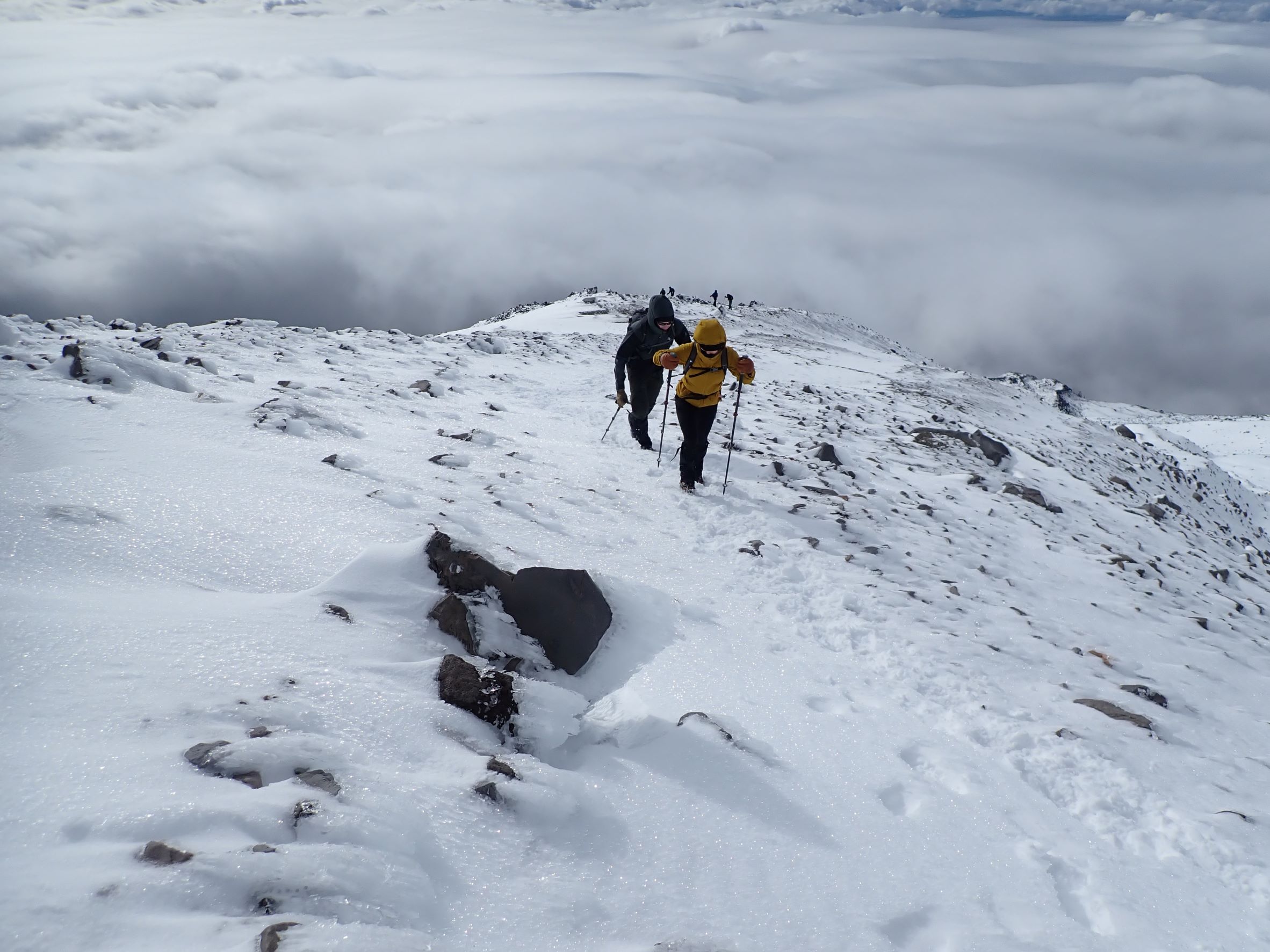 Mount St. Helens - Monitor Ridge — Washington Trails Association