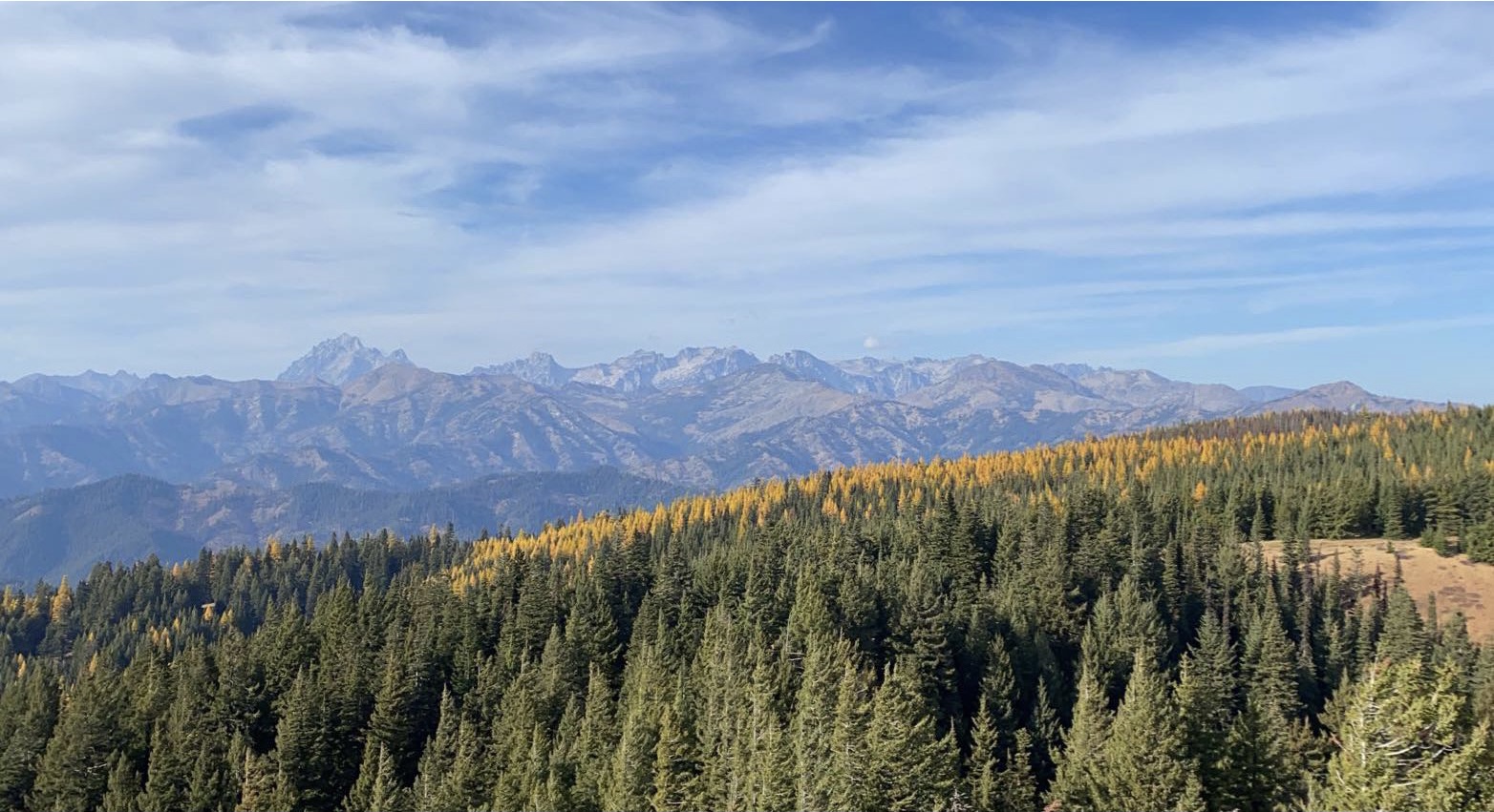 Red Top Lookout — Washington Trails Association