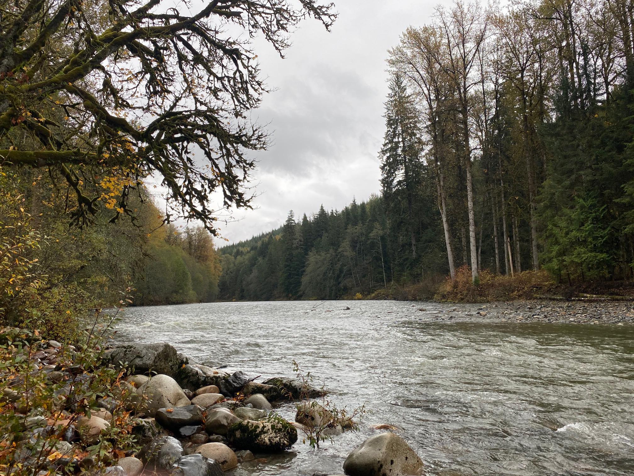 Old Robe Canyon — Washington Trails Association