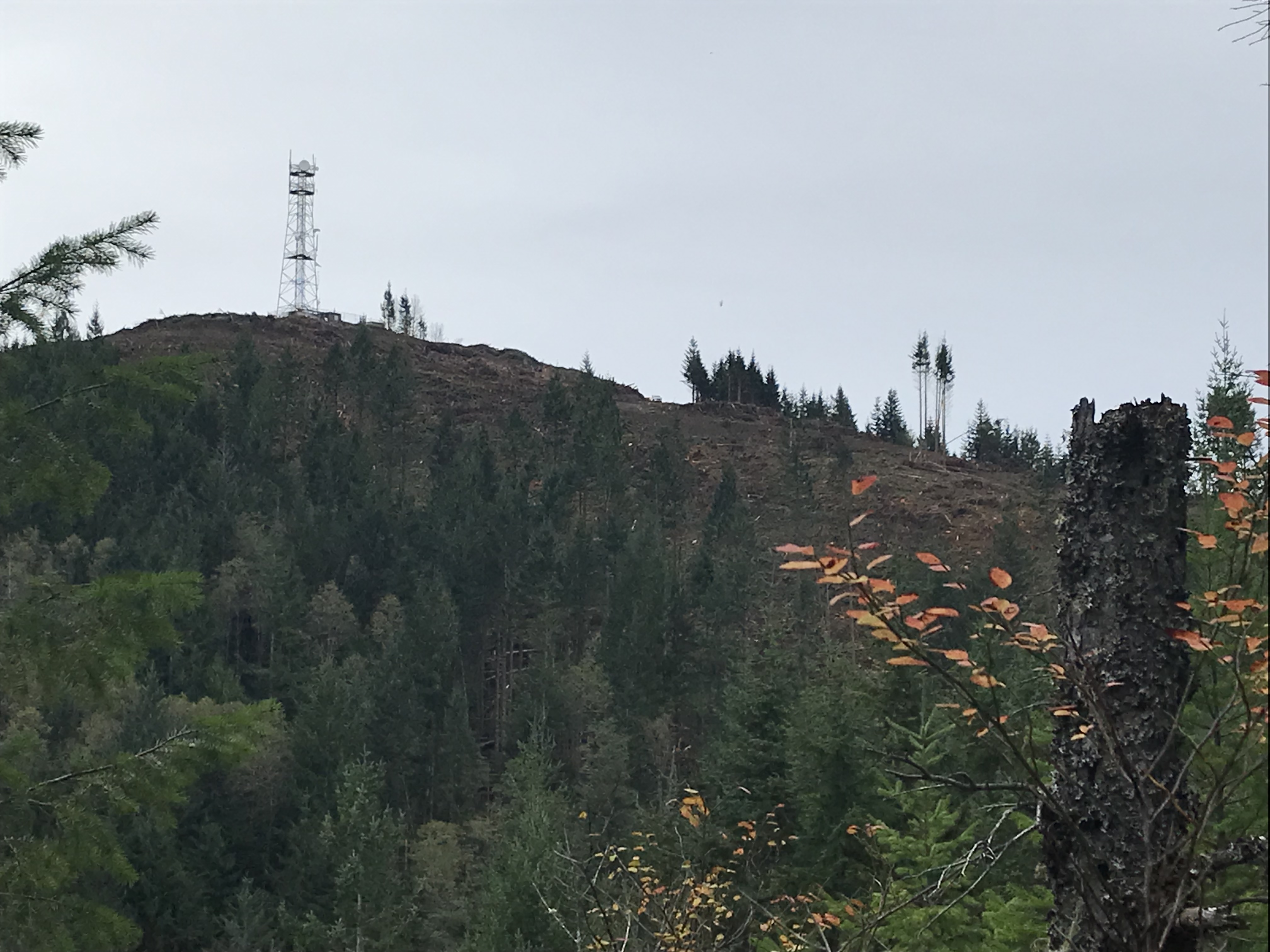 Cable Line Trail, West Tiger 3 — Washington Trails Association