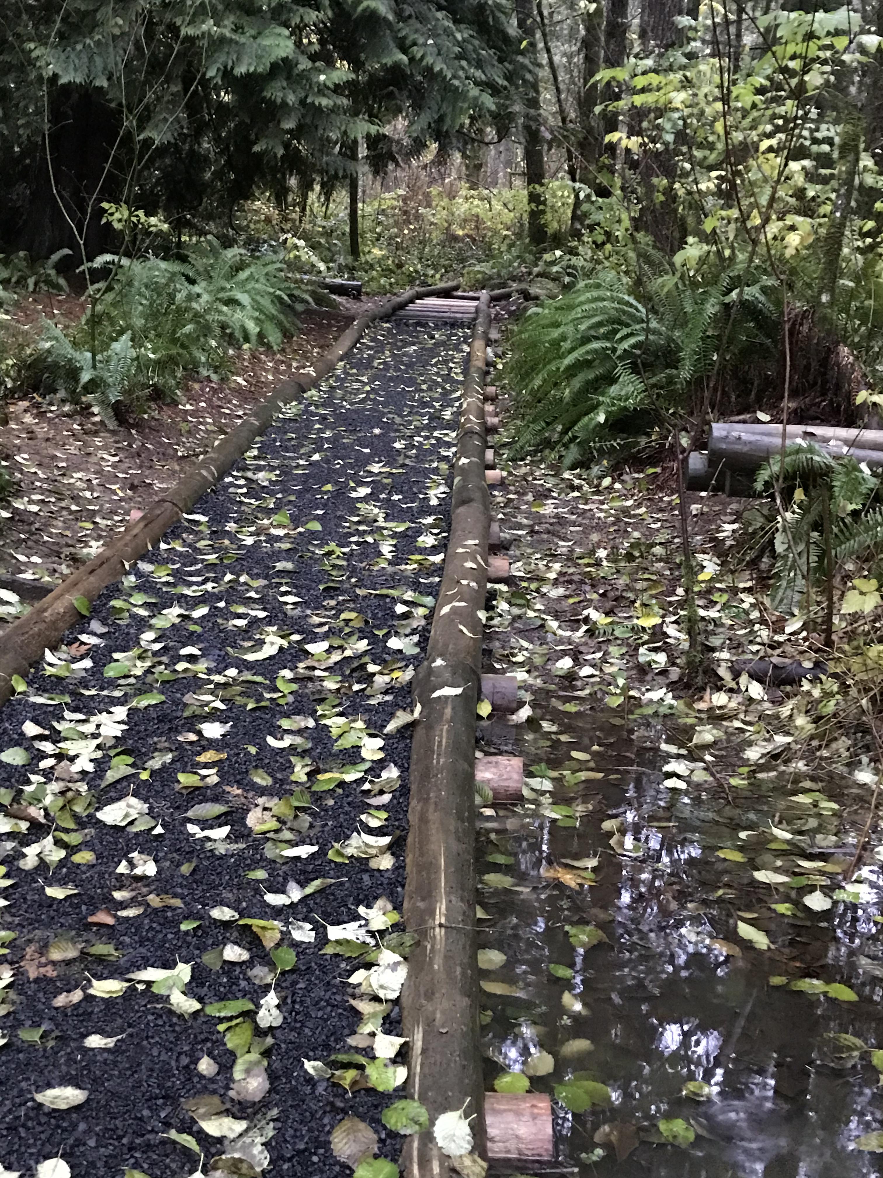 LBA Park — Washington Trails Association