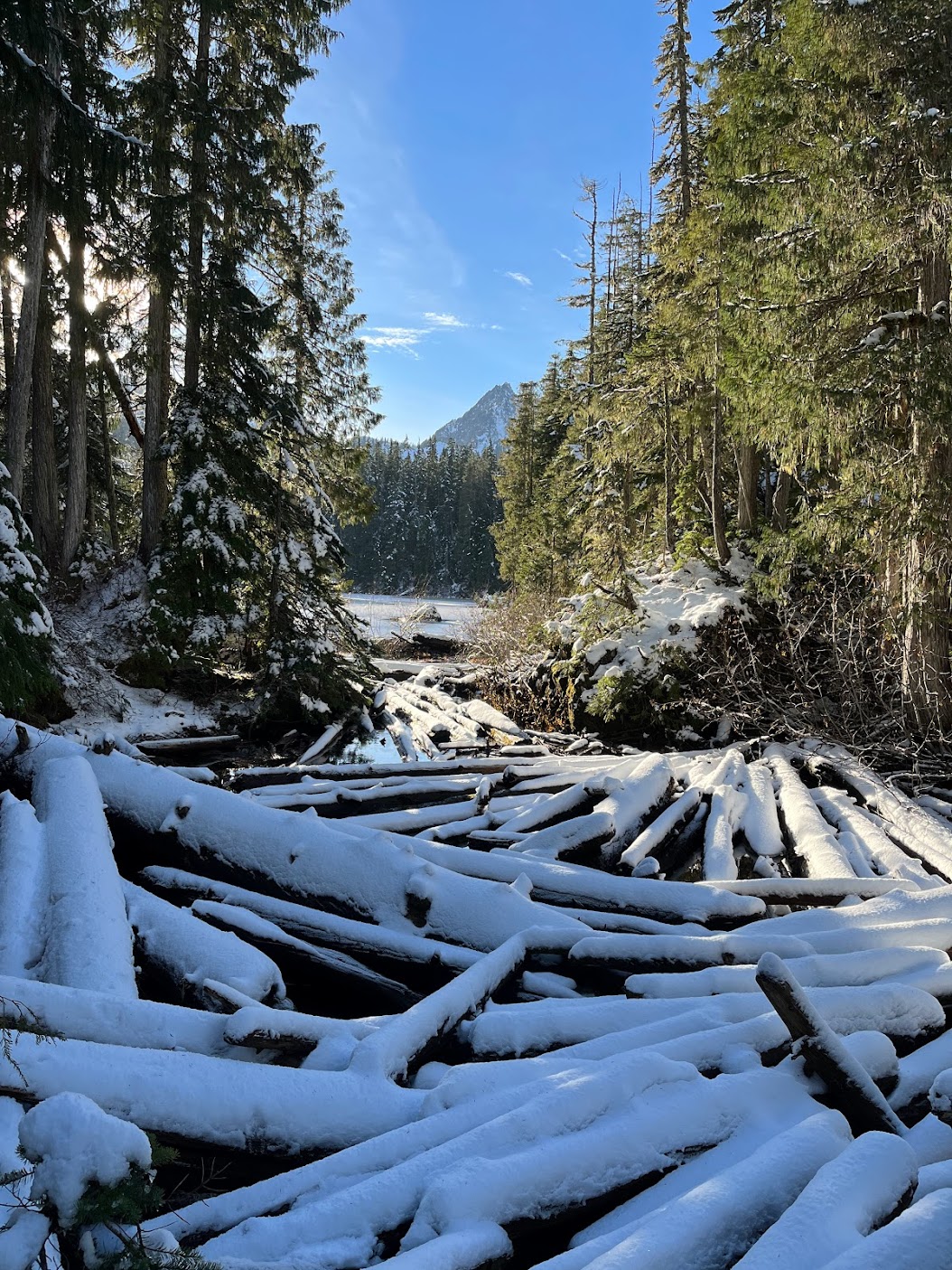Mildred Lakes — Washington Trails Association