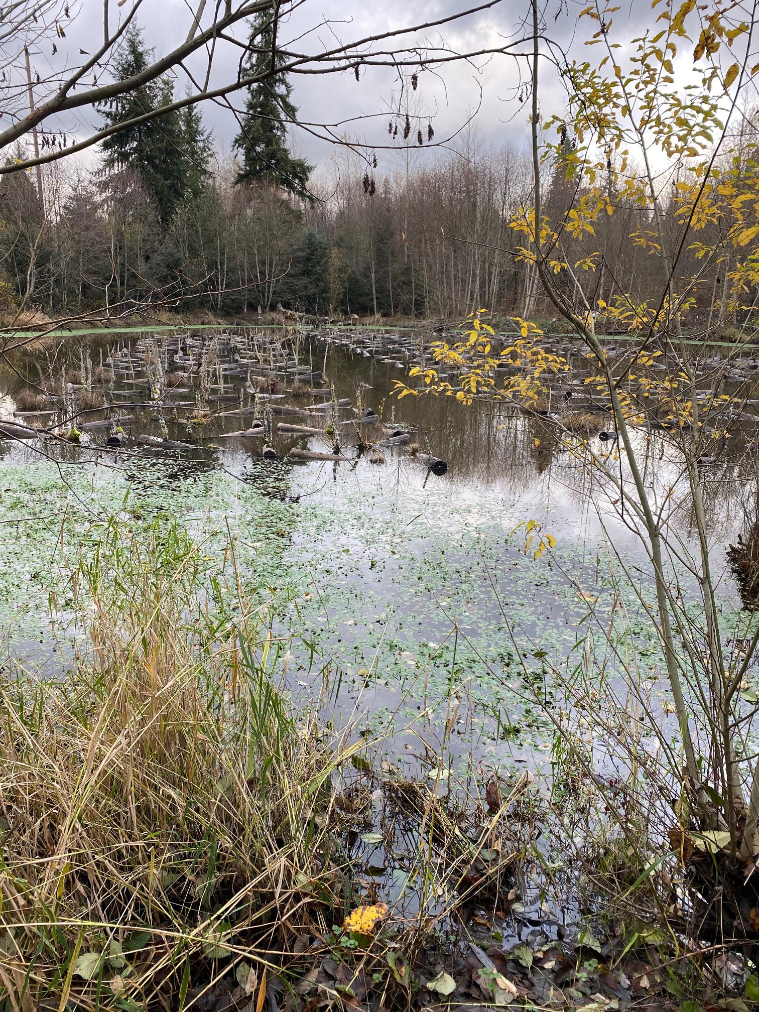 Brightwater Center — Washington Trails Association